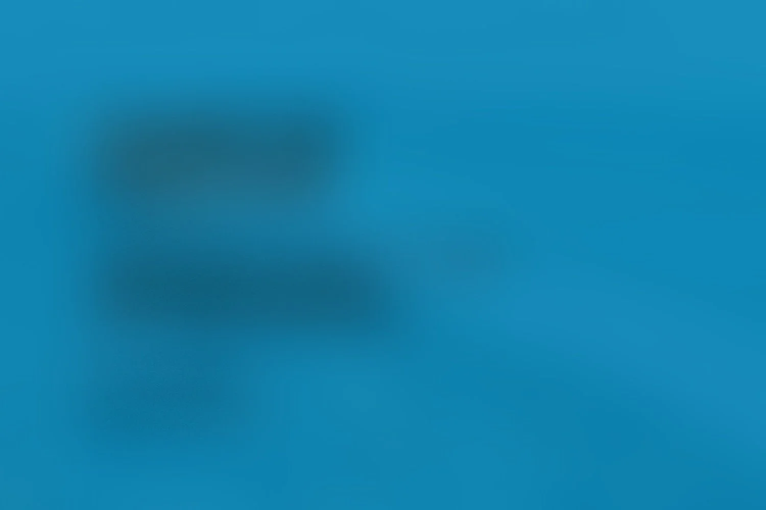 Sandy Running Festival