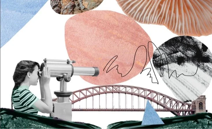 ZEYNEP FALAY VON FLITTNER