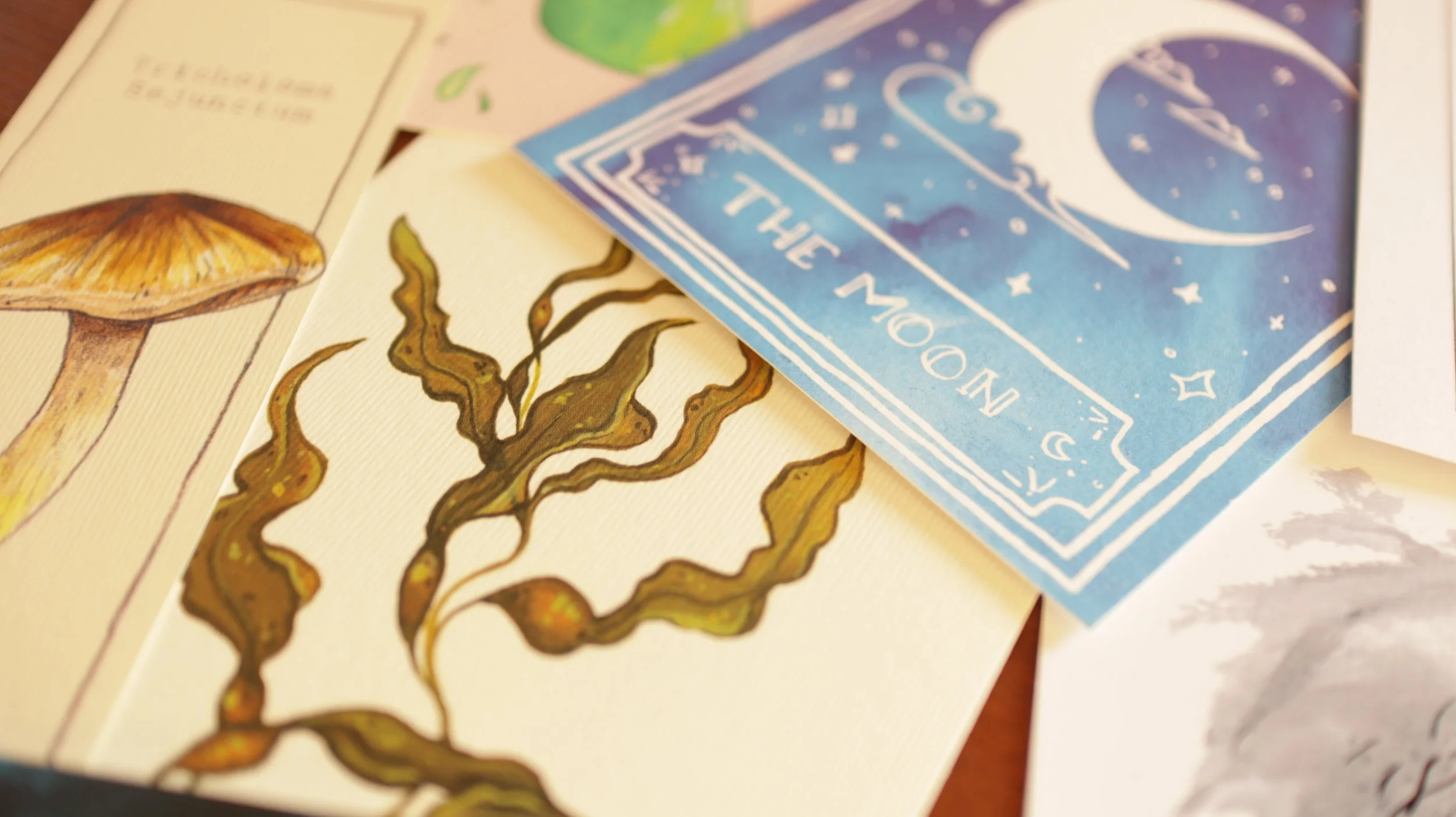 Shop — Minnie Small