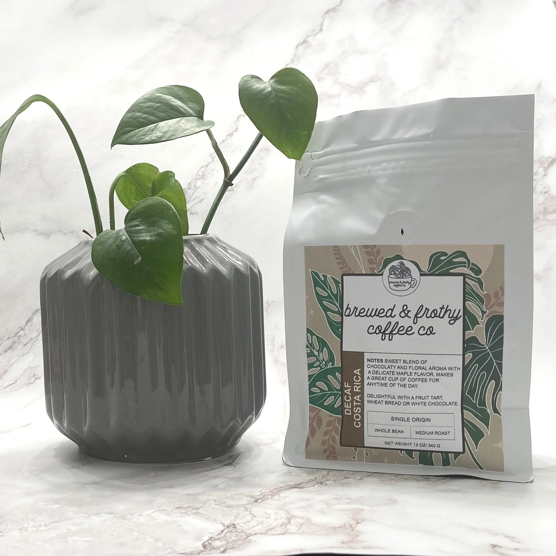 Brewed & Frothy Coffee Co.