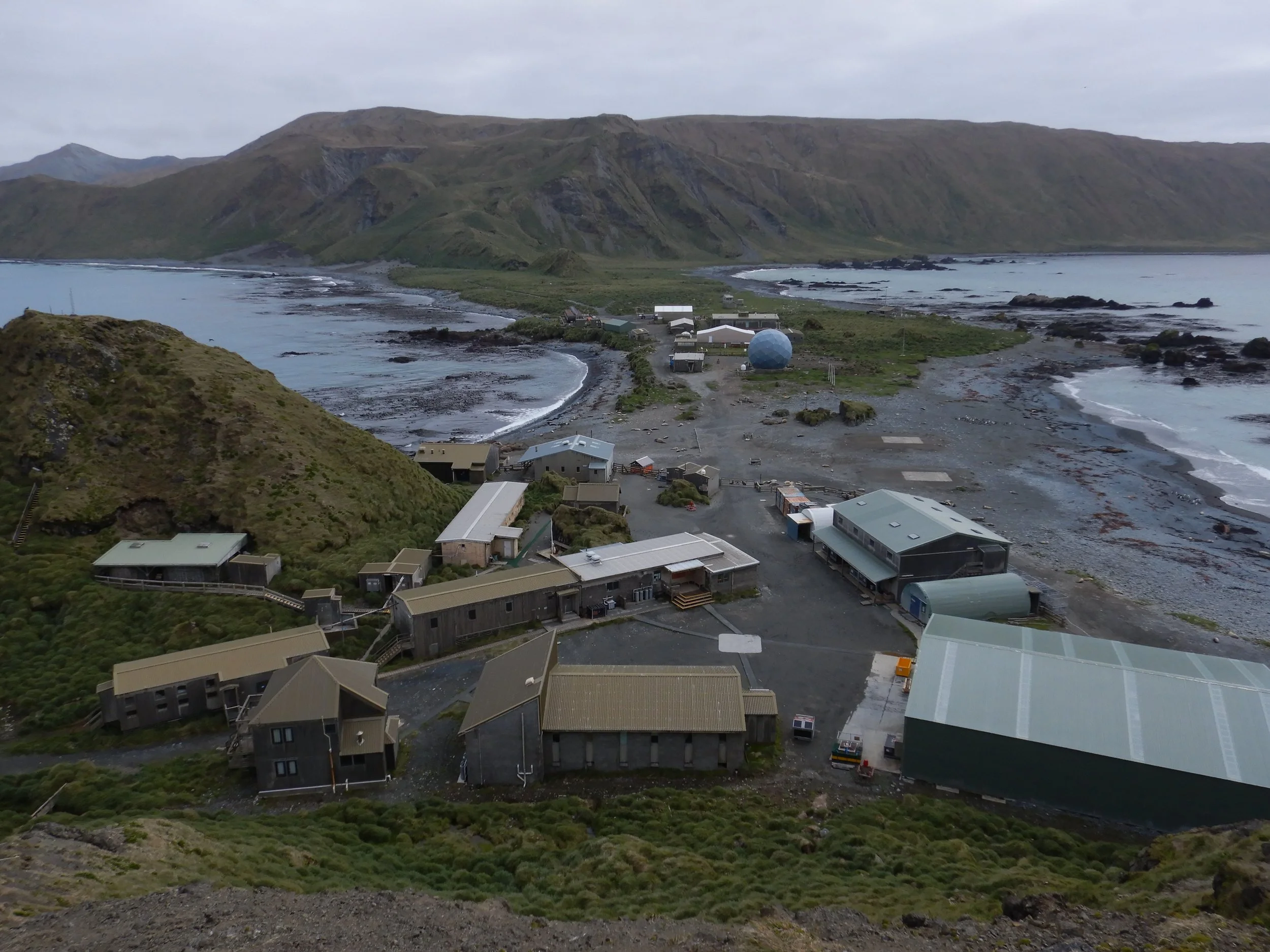 Who looks after Macquarie Island? — Macquarie Island Conservation ...