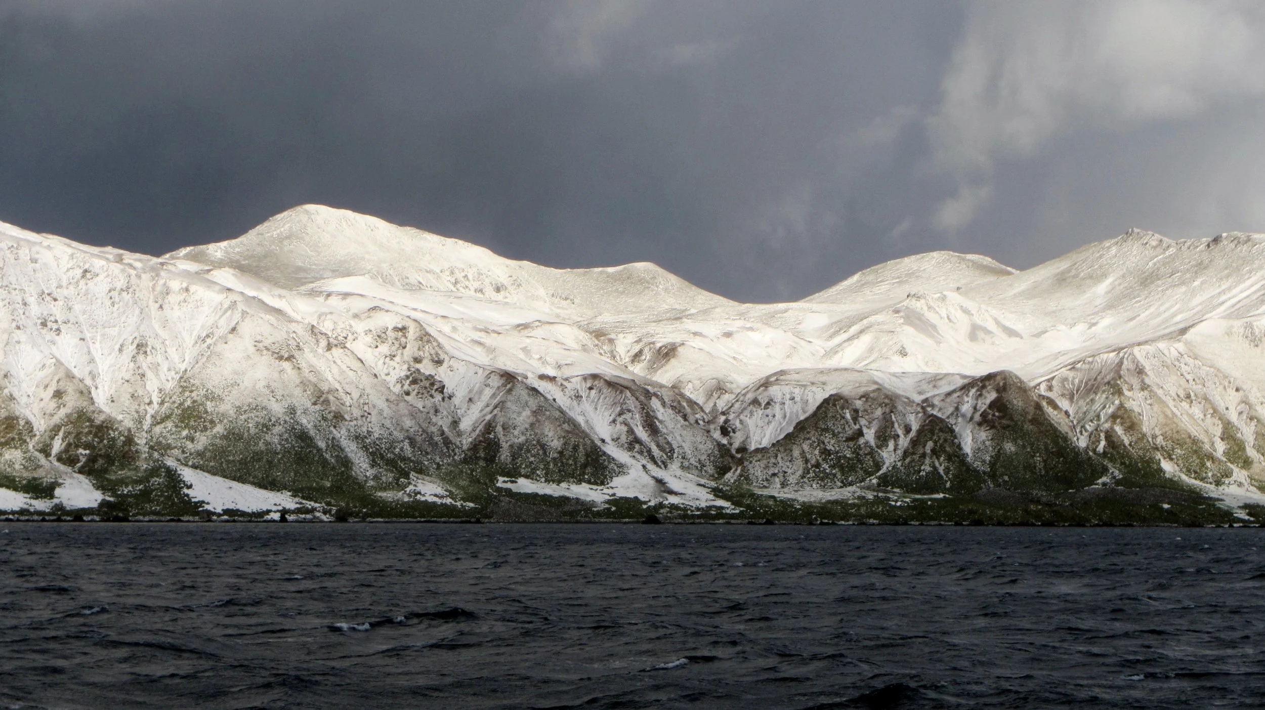 The Sub-Antarctic Neighbourhood — Macquarie Island Conservation Foundation