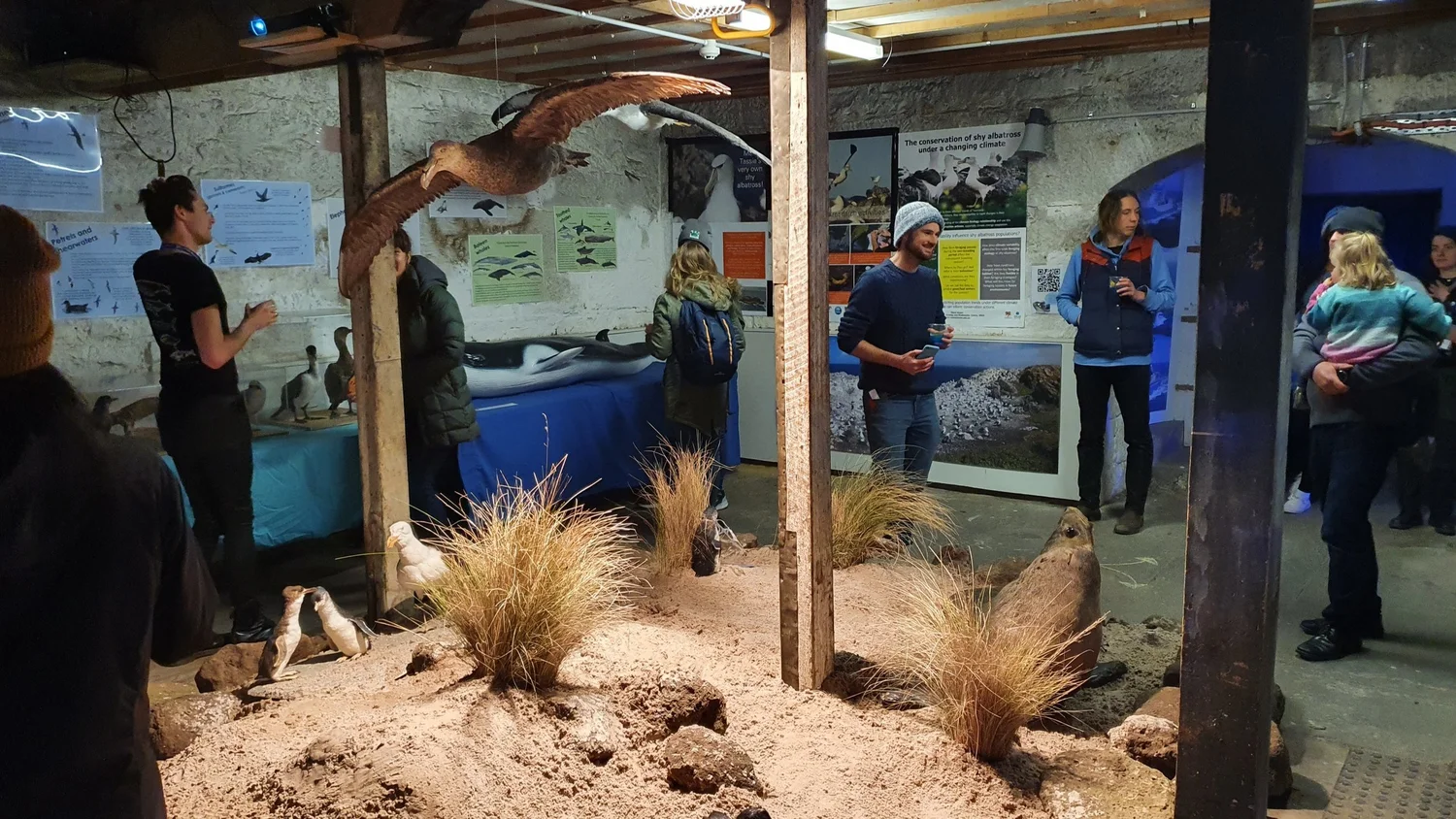 Macquarie Island Conservation Foundation