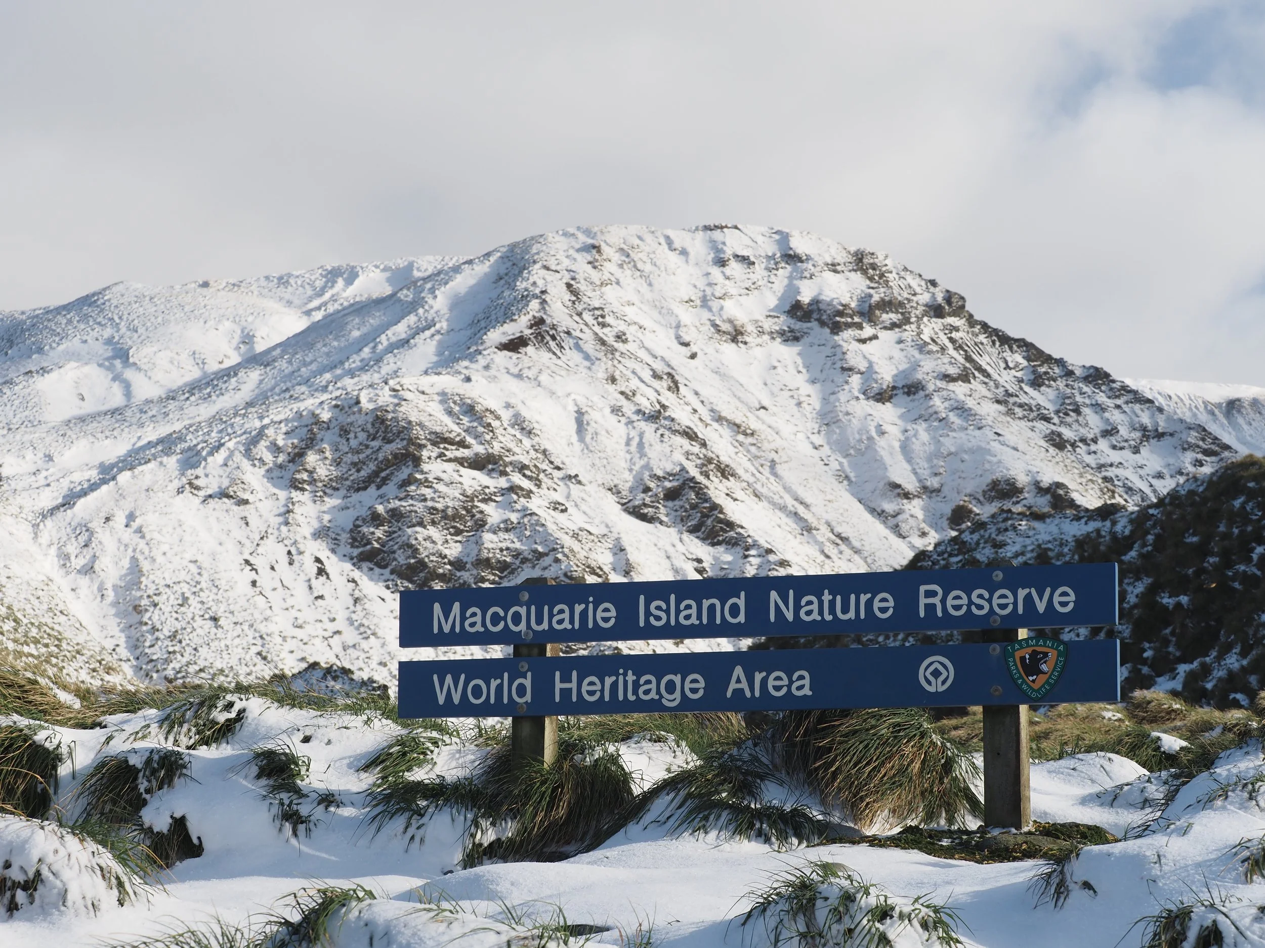 Who looks after Macquarie Island? — Macquarie Island Conservation ...