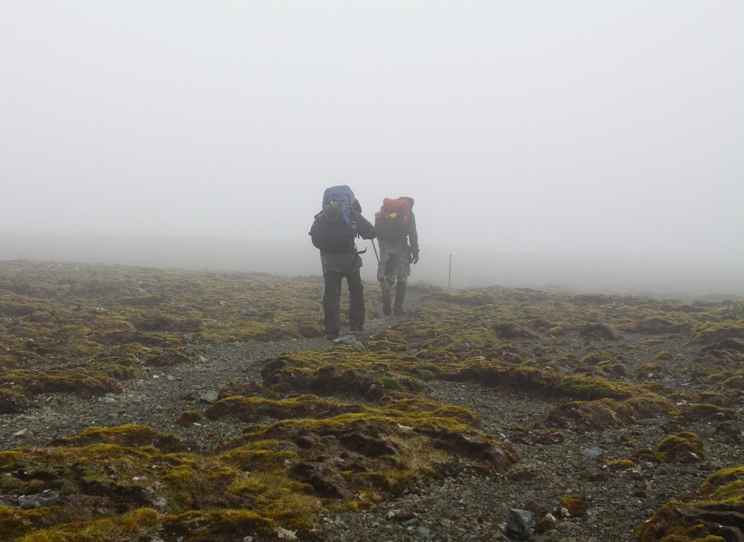 The People — Macquarie Island Conservation Foundation