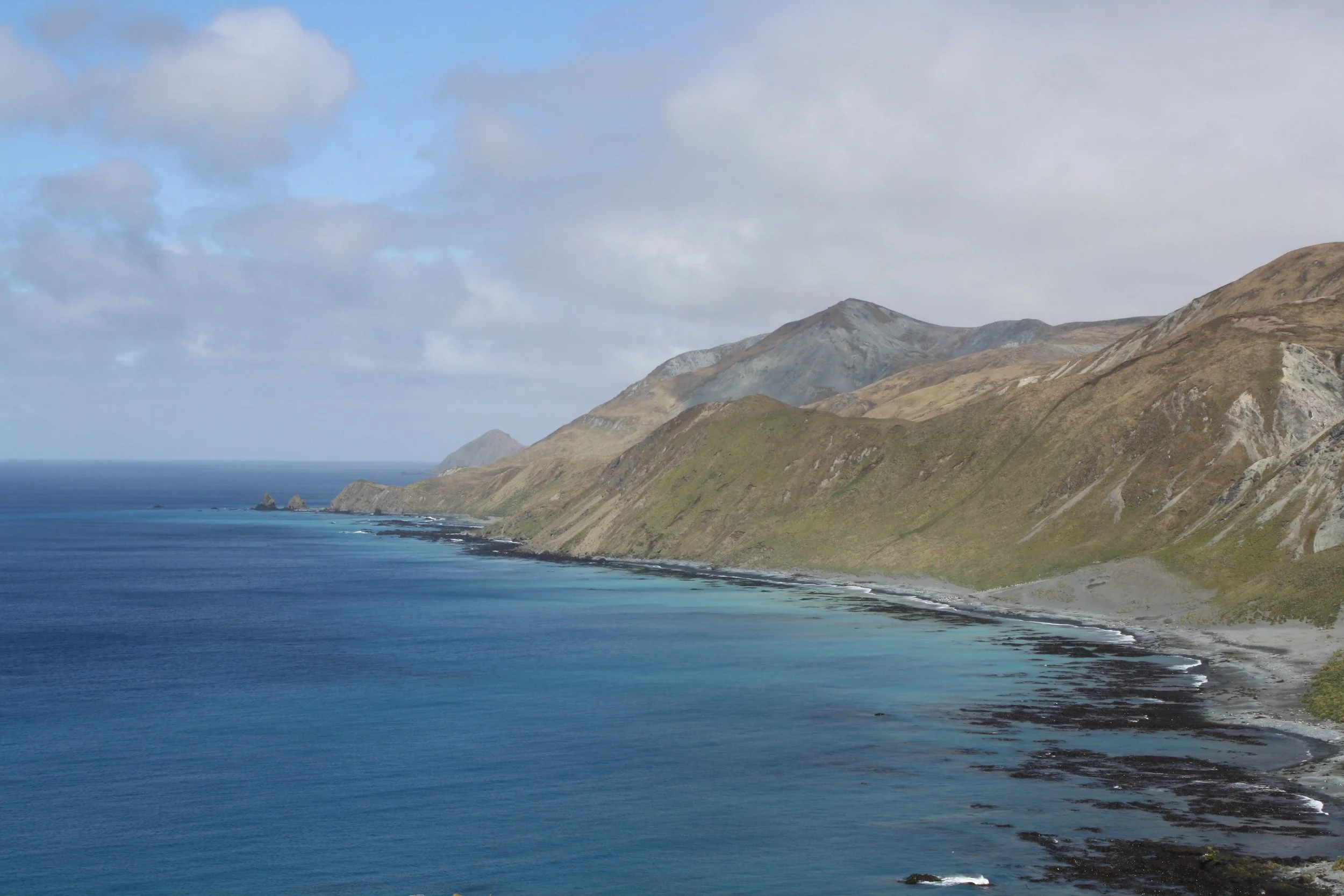 MICF Documents — Macquarie Island Conservation Foundation
