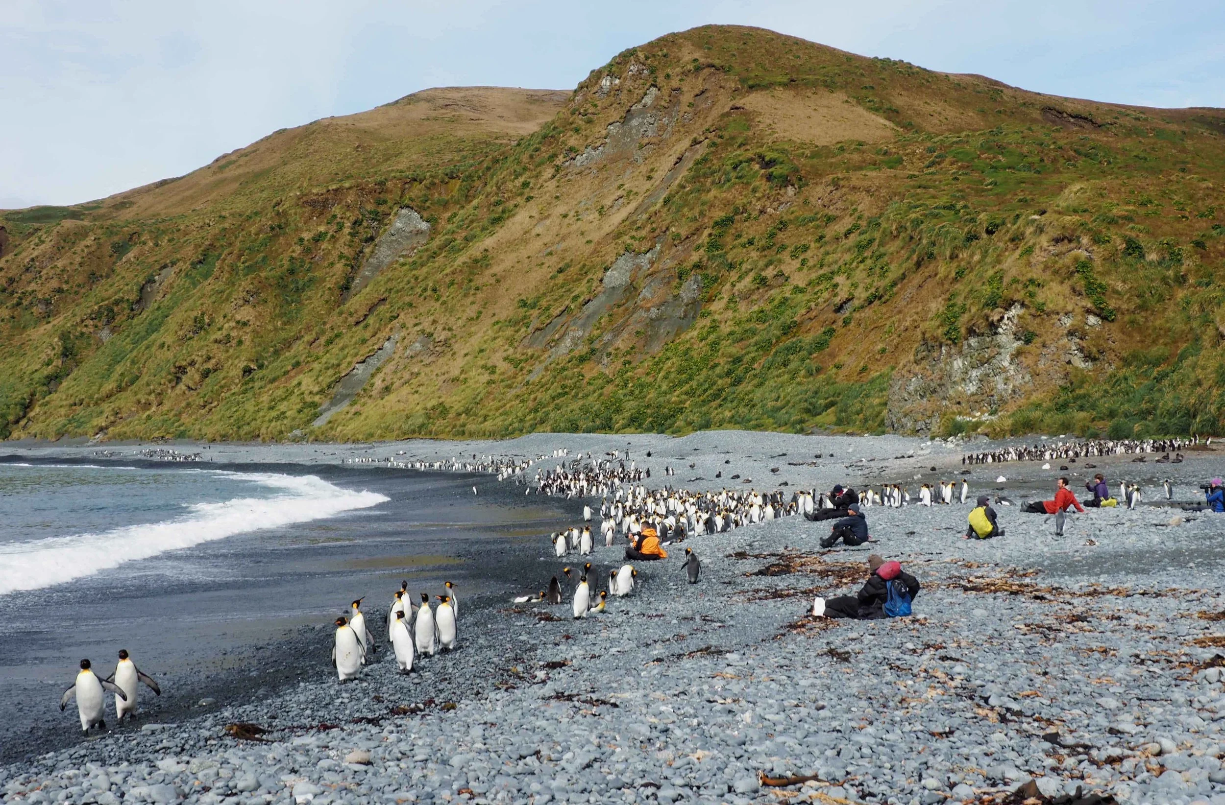 The People — Macquarie Island Conservation Foundation