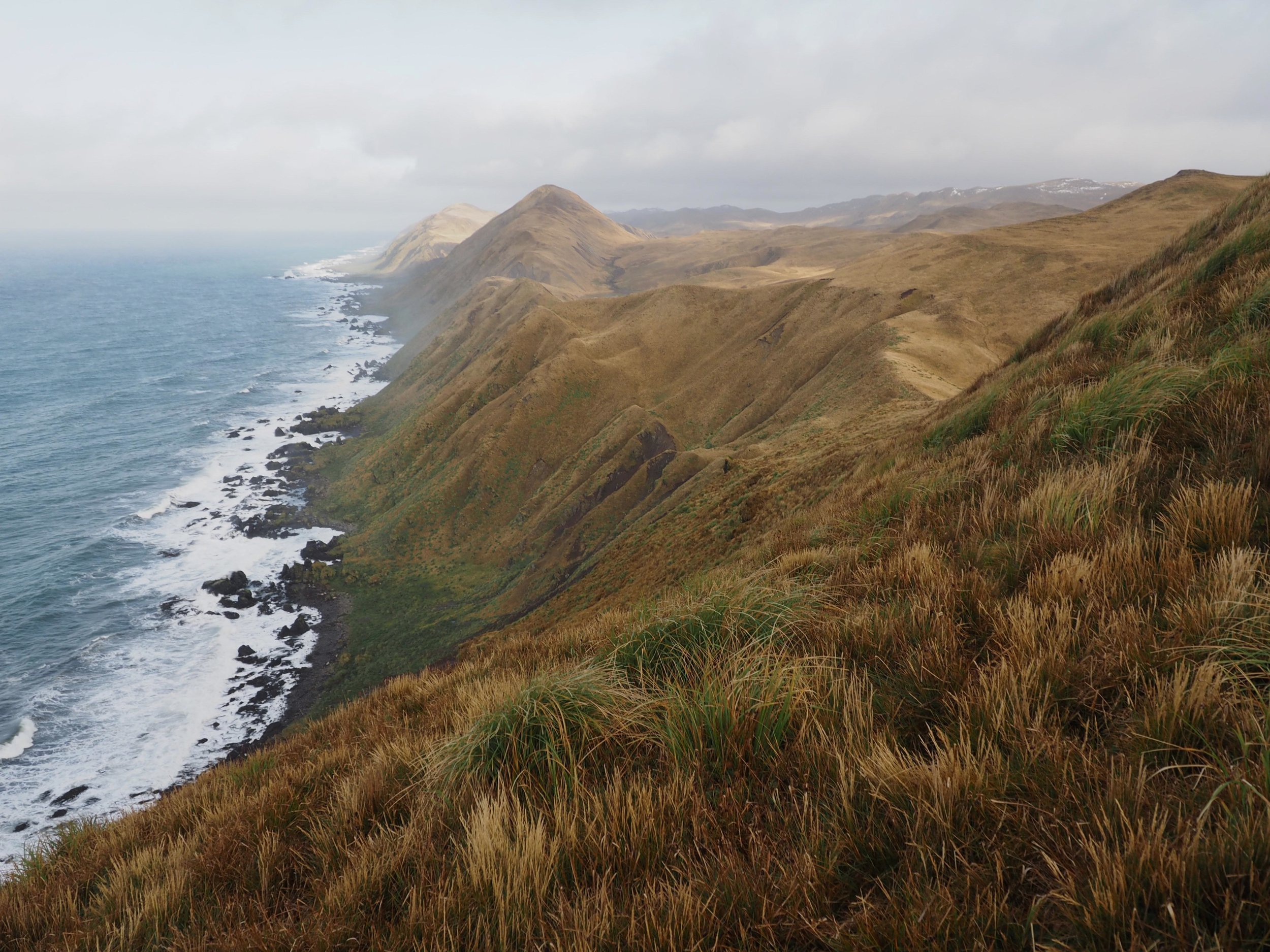 The Landscapes — Macquarie Island Conservation Foundation