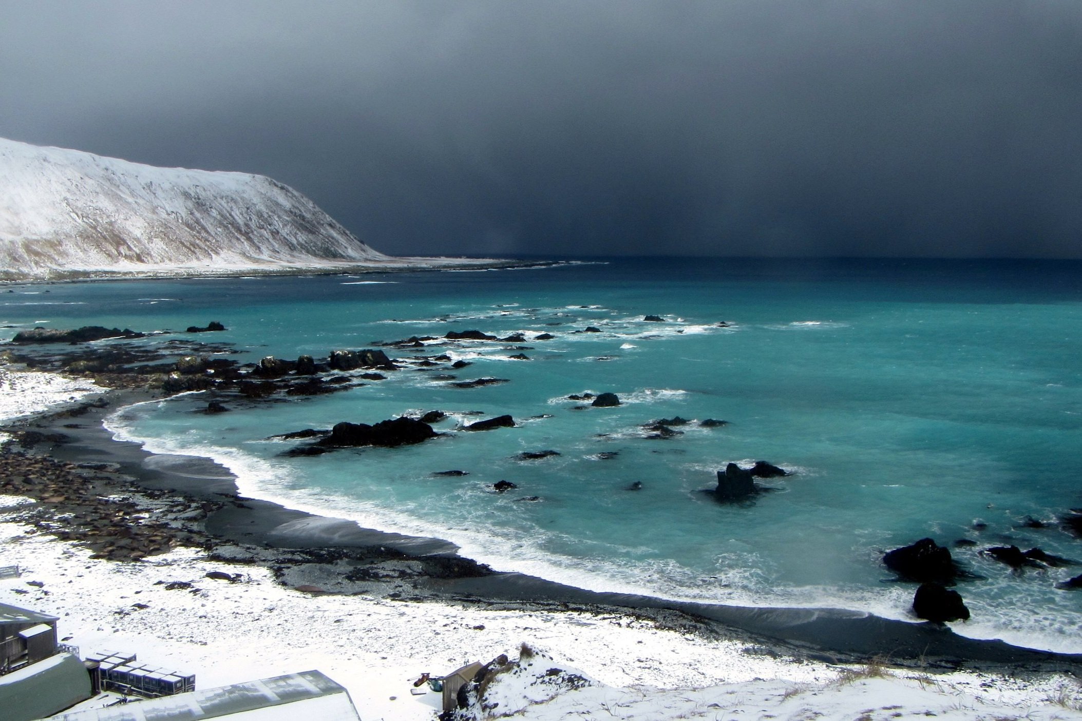 The Island — Macquarie Island Conservation Foundation