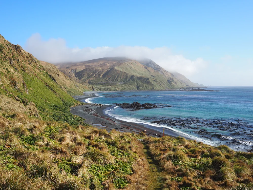 The Island — Macquarie Island Conservation Foundation