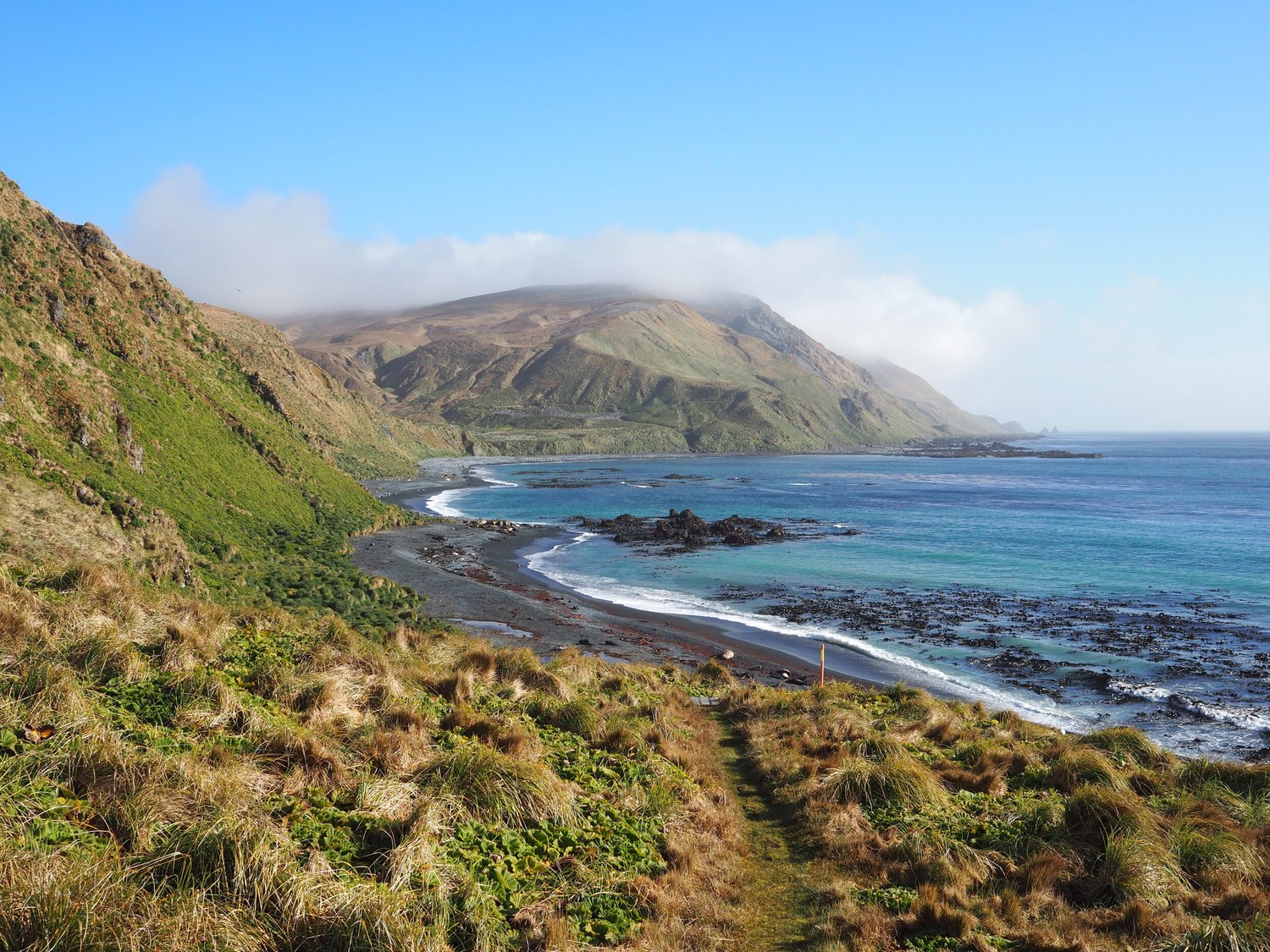 Macquarie Island Conservation Foundation