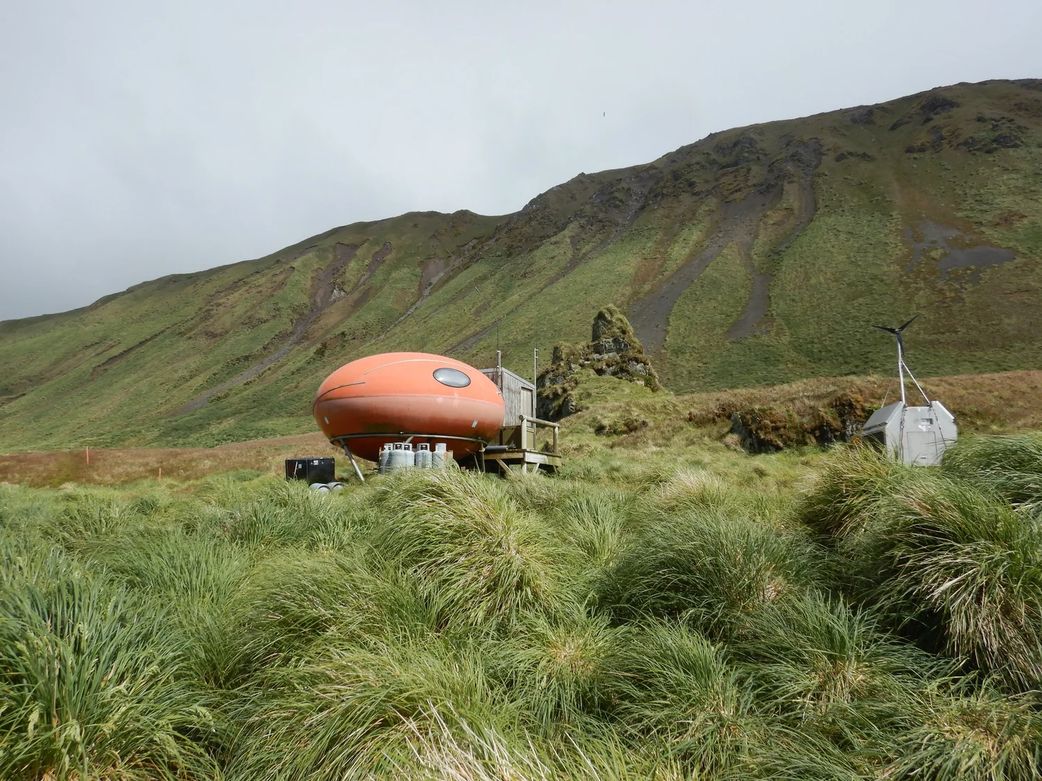 The Island — Macquarie Island Conservation Foundation
