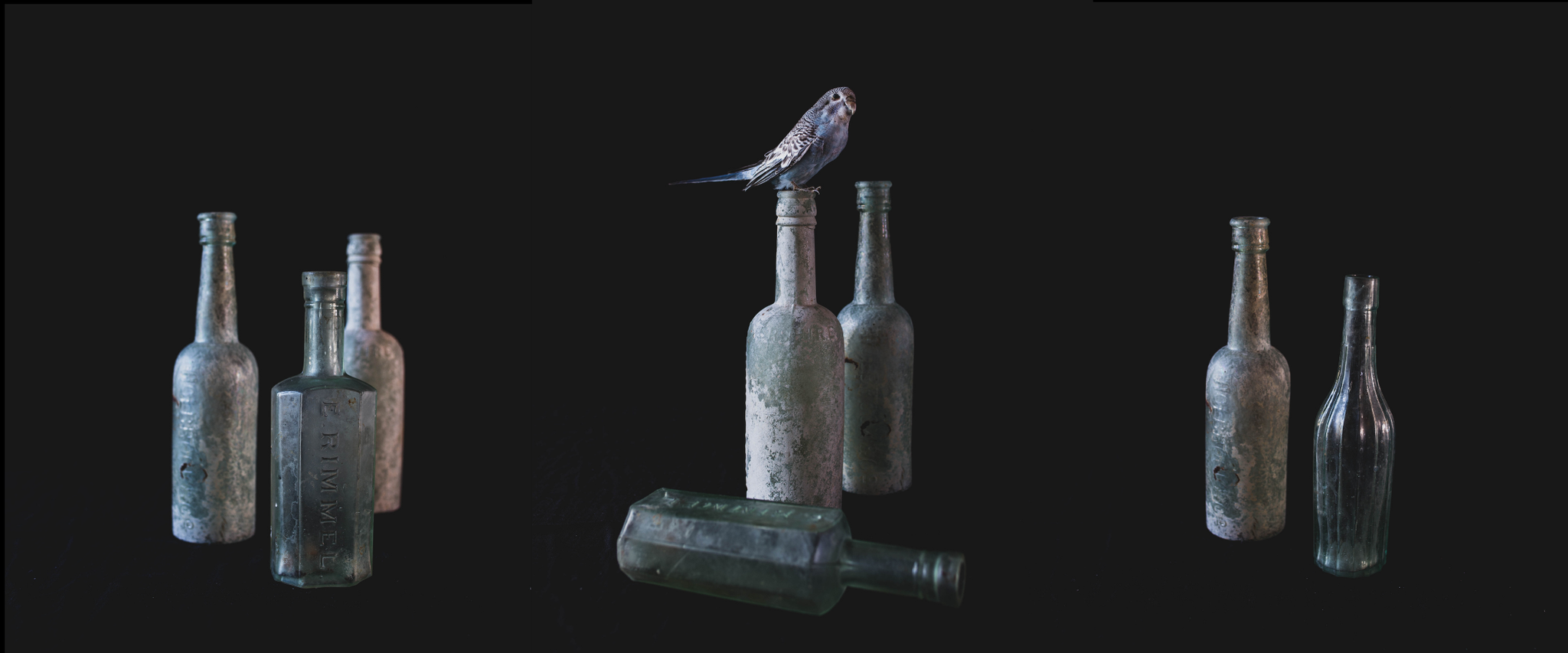 Object & Presence — C H R I S T I N A L O W R Y
