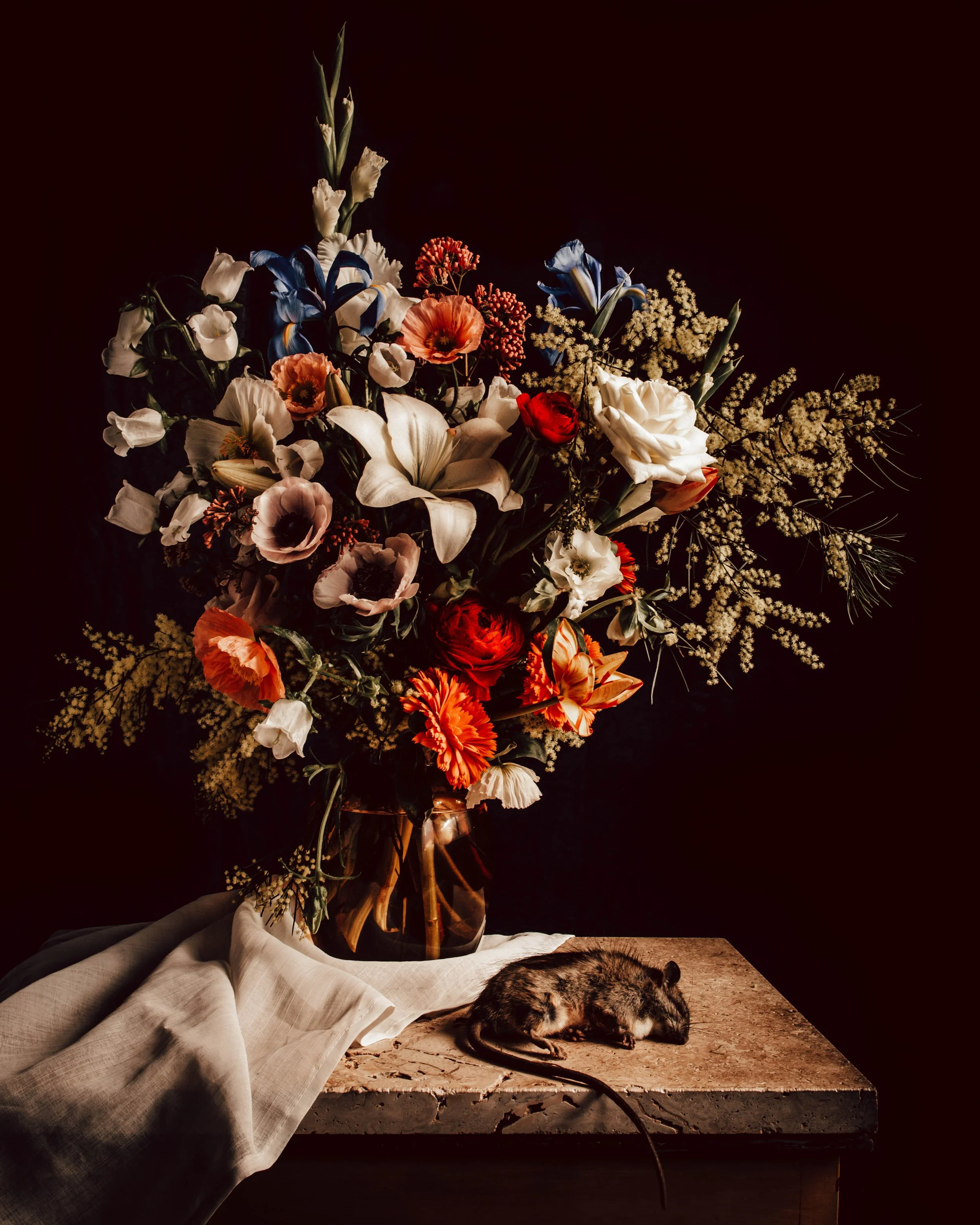 Store — Christina Lowry