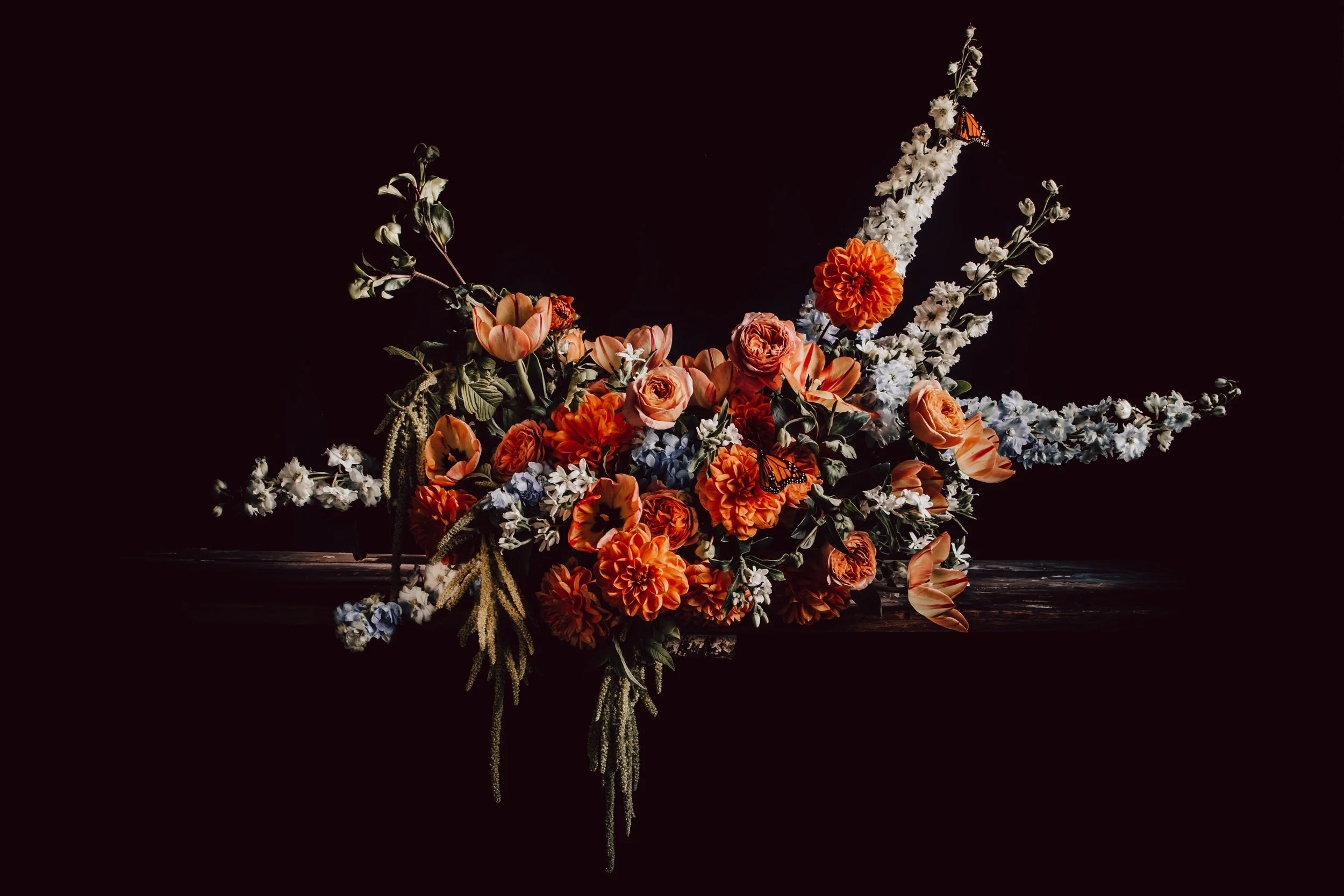 Store — Christina Lowry