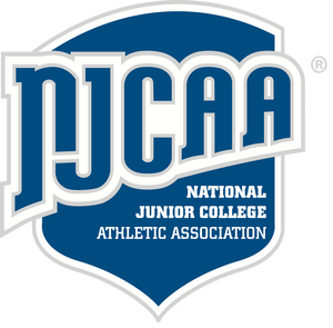 The US College System — AUSA Hoops