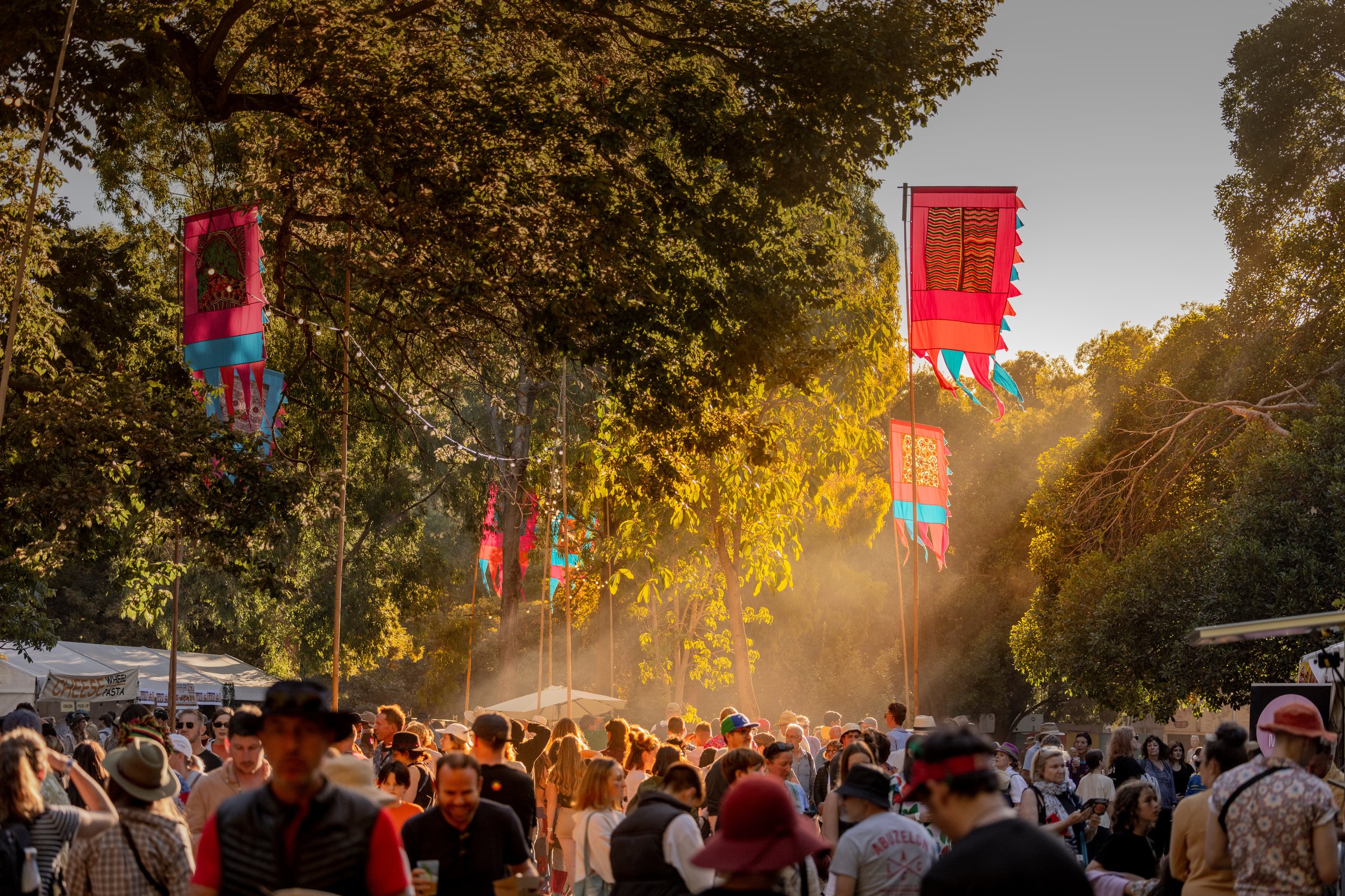 Adelaide Festival Photographer - Womadelaide 2023 - Frankie The ...