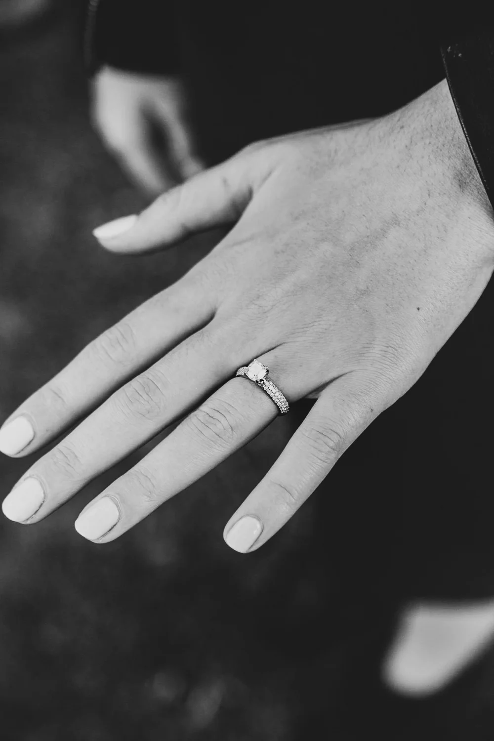 How to Plan the Perfect Photo Shoot Proposal - Frankie The Creative ...