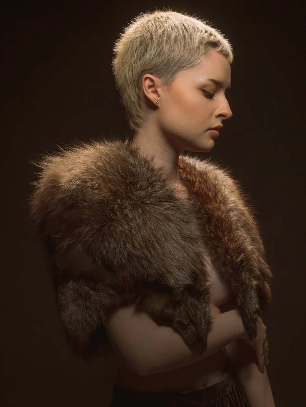 Gallery — Safa Studios