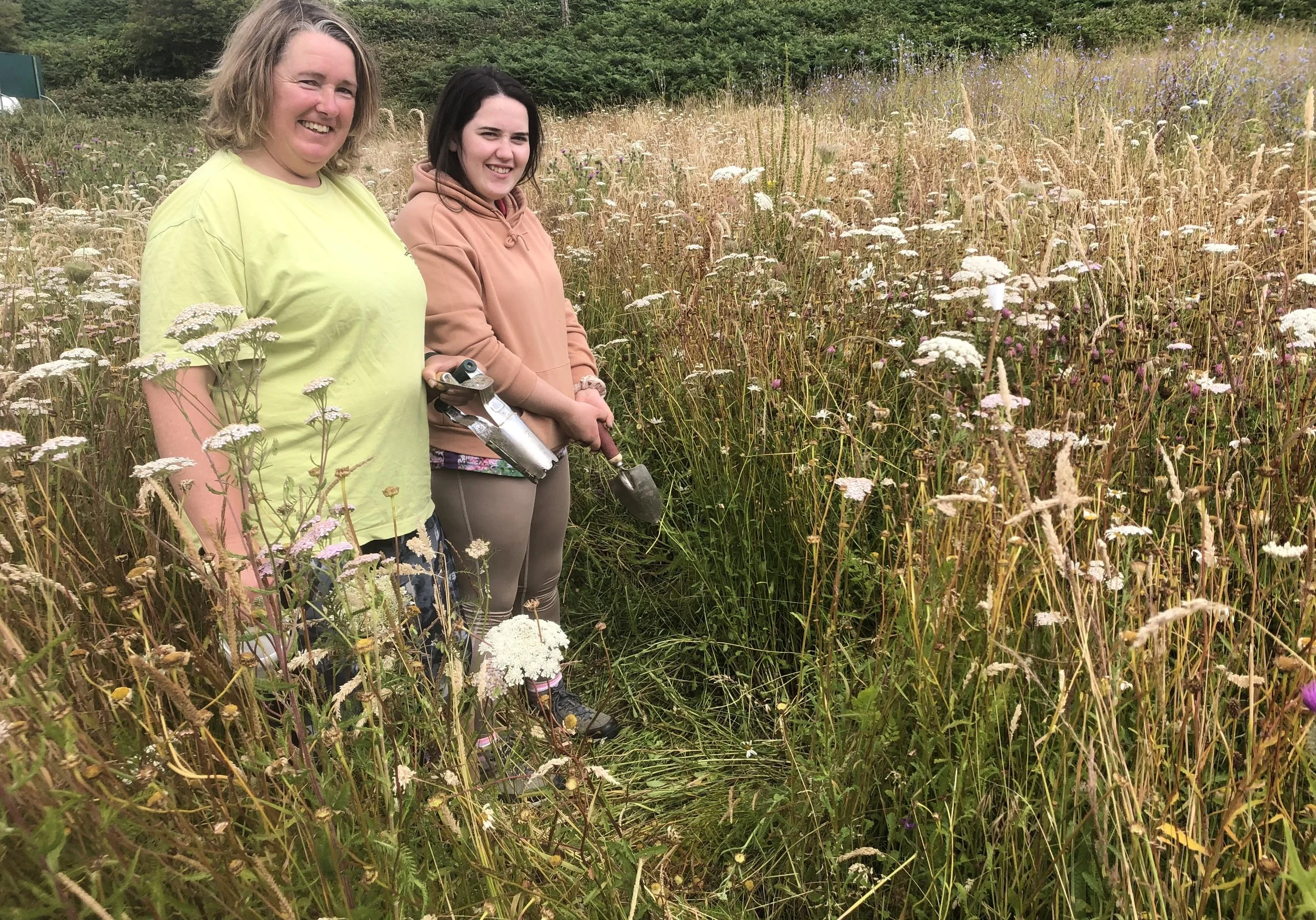 habitats research hub — habitats.ie