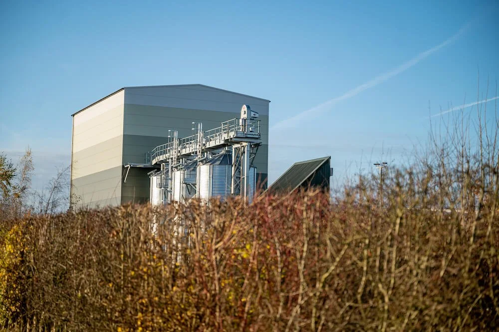 Enjoy the full flavours of English mustard — Condimentum - English ...