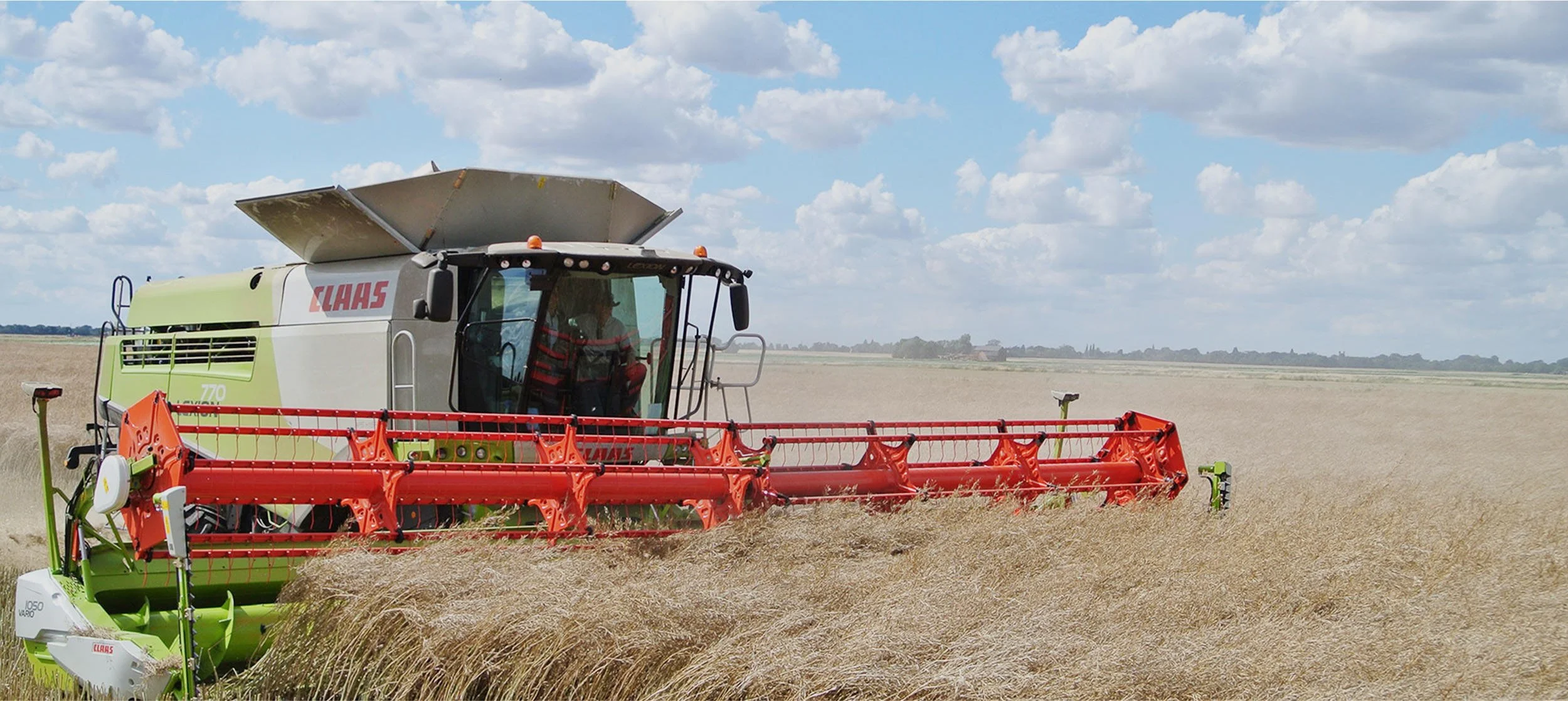 Enjoy the full flavours of English mustard — Condimentum - English ...