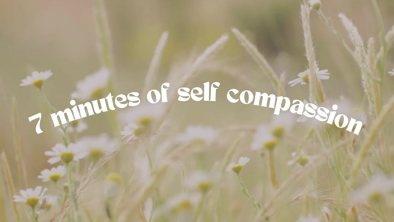 Yogi's Home - Lyndhurst, New Forest, Totton and Romsey Yoga Classes