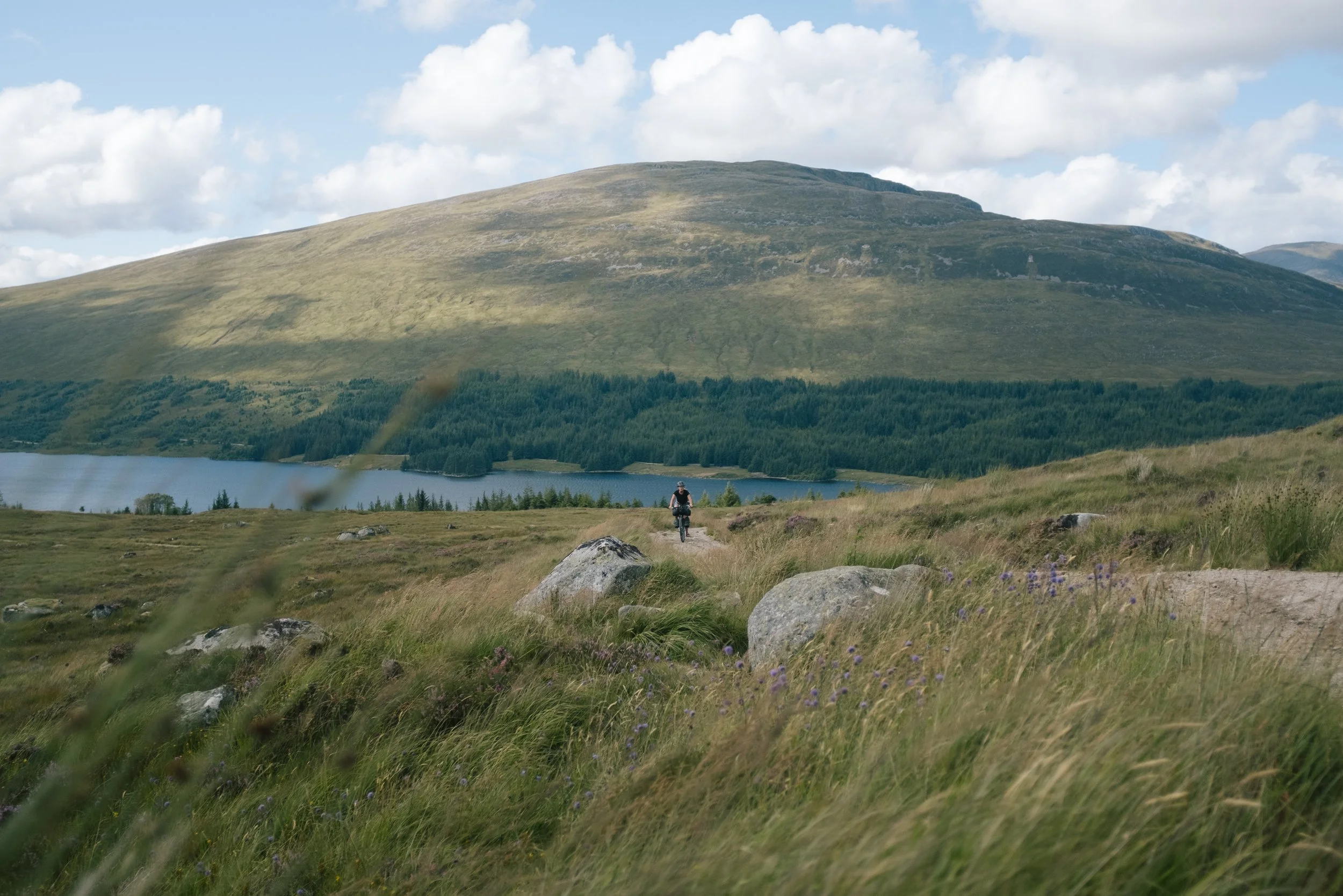 The Badger Divide — The New Forest Off Road Club