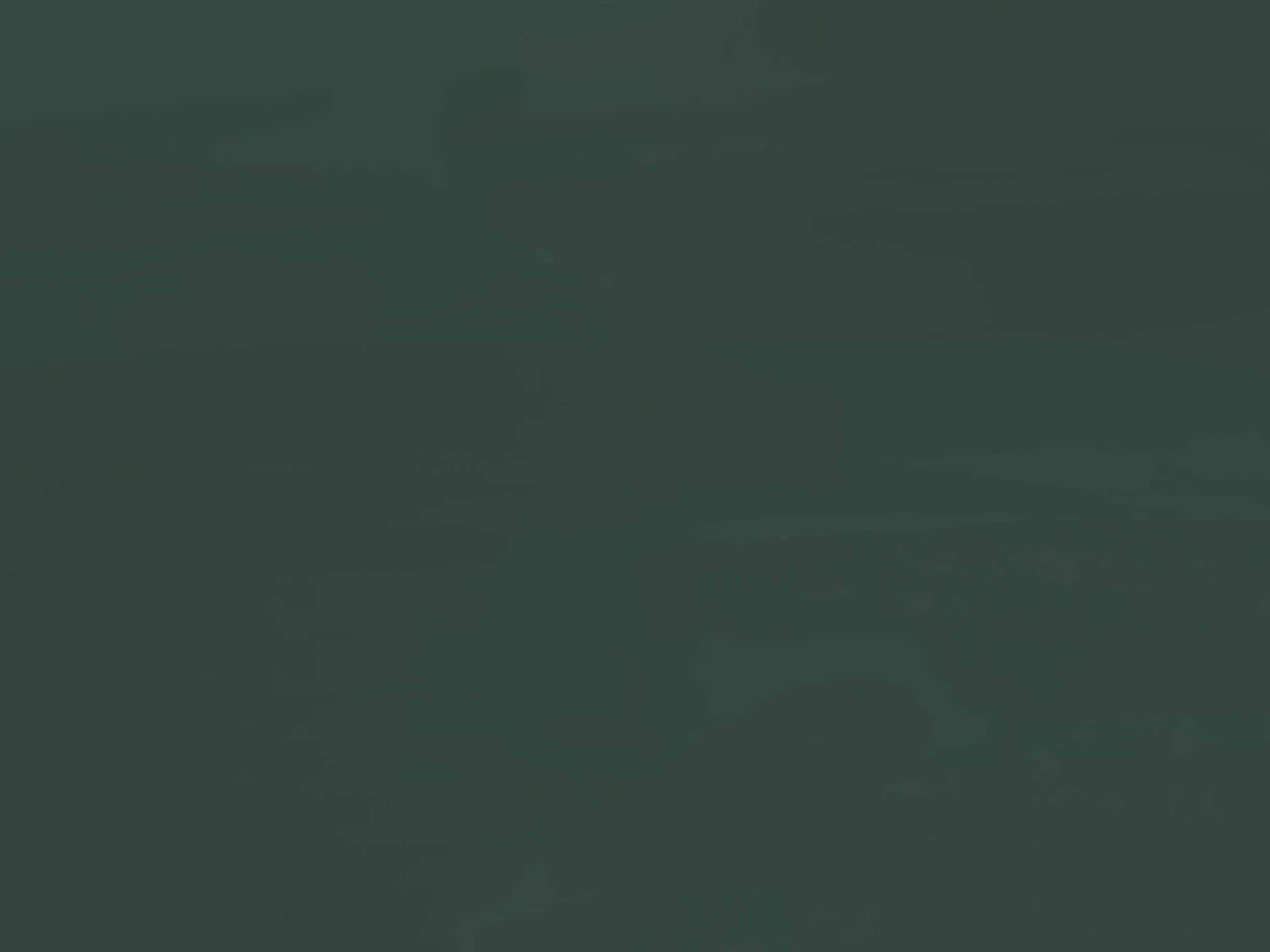 Pricing | Rachel Case Photography | Rachel Case Photography