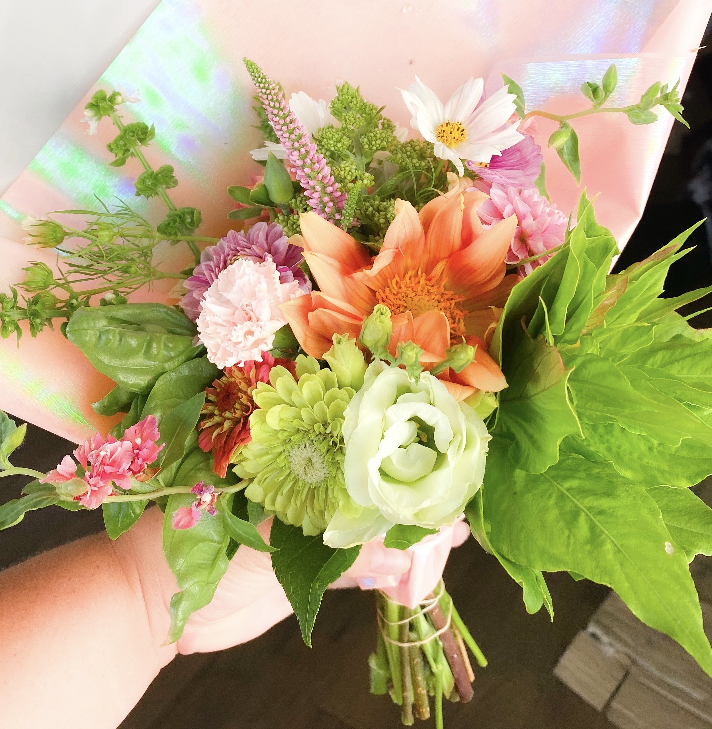 Rainbow Roots Floral