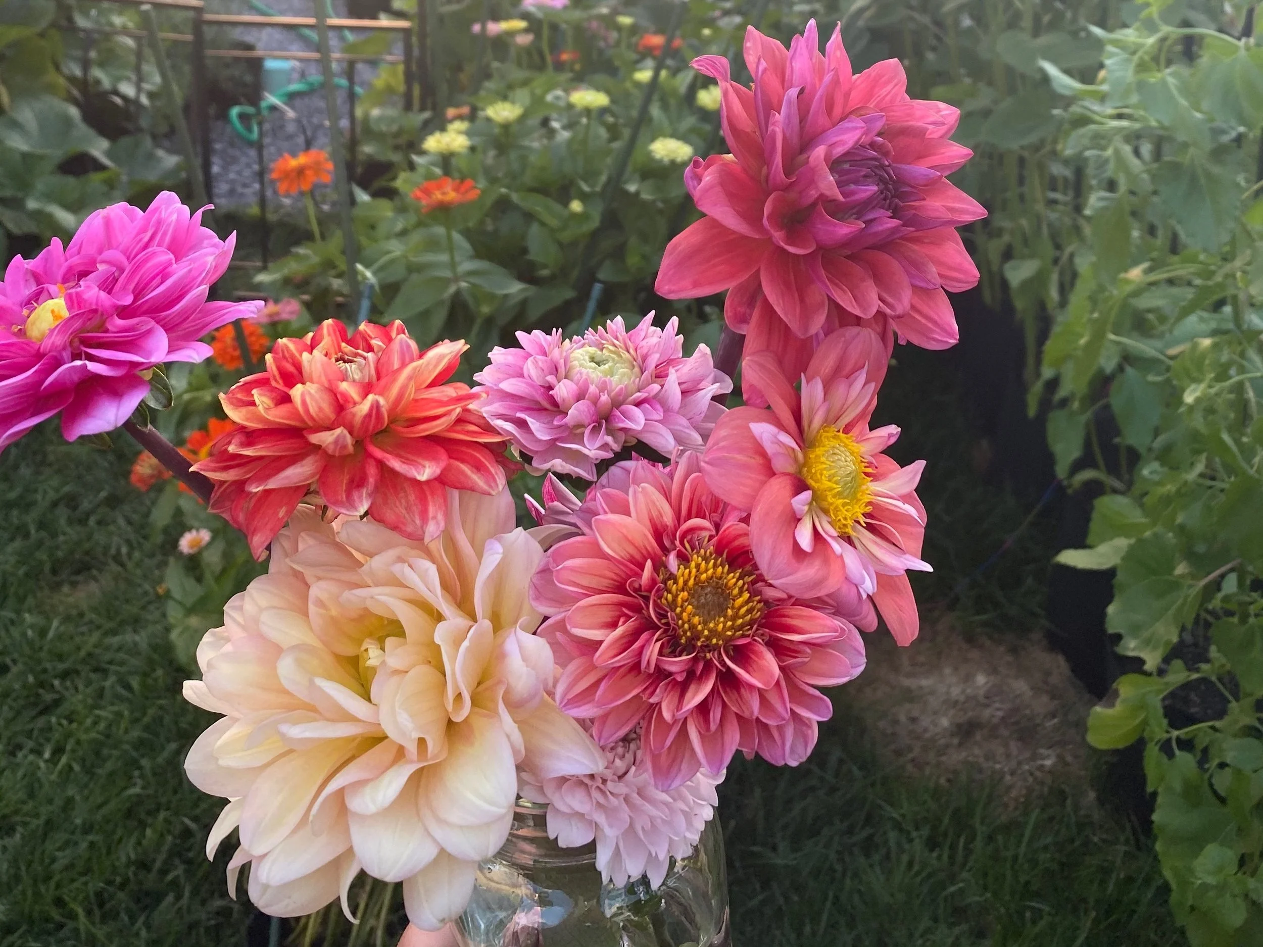 Rainbow Roots Floral