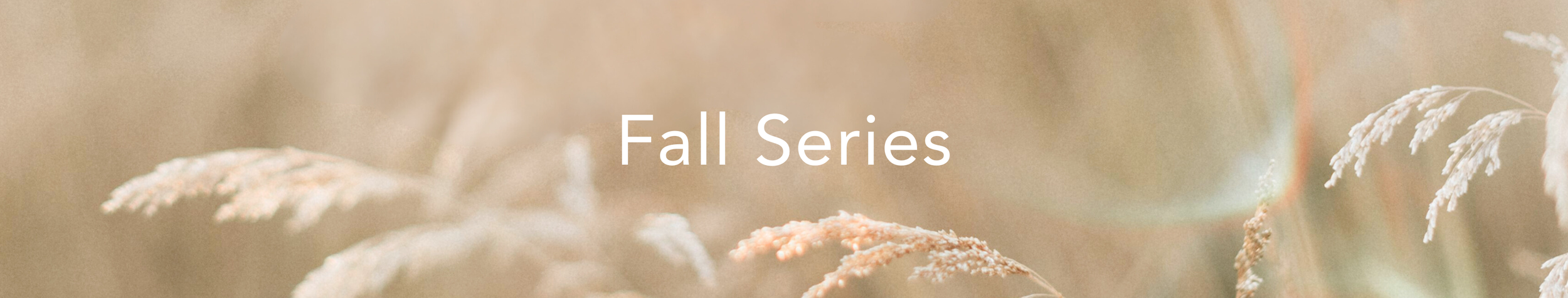 Loopwell | Events in Montclair, NJ — Loopwell