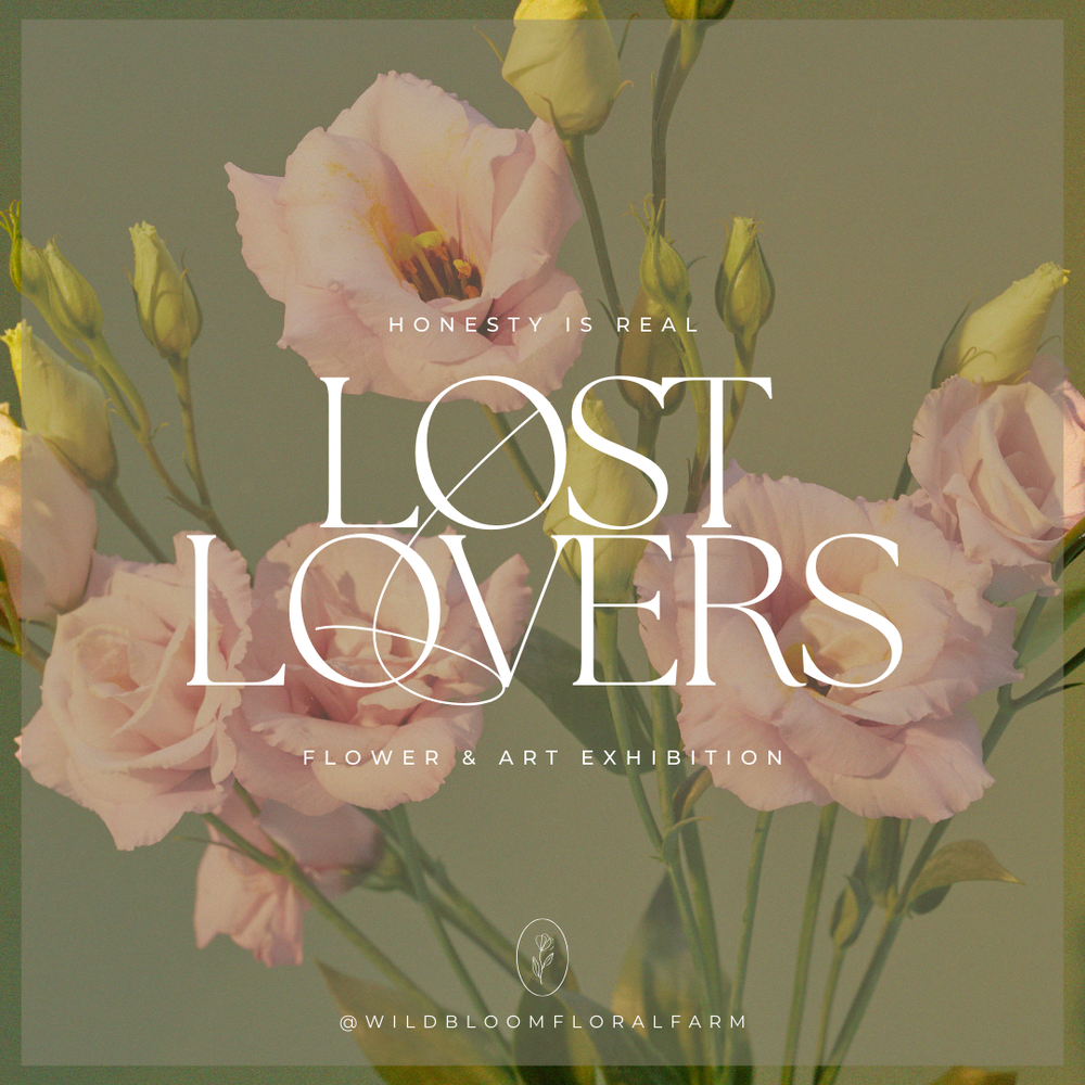 Wild Bloom | Mauri's Markups | Branding + Web Design Studio