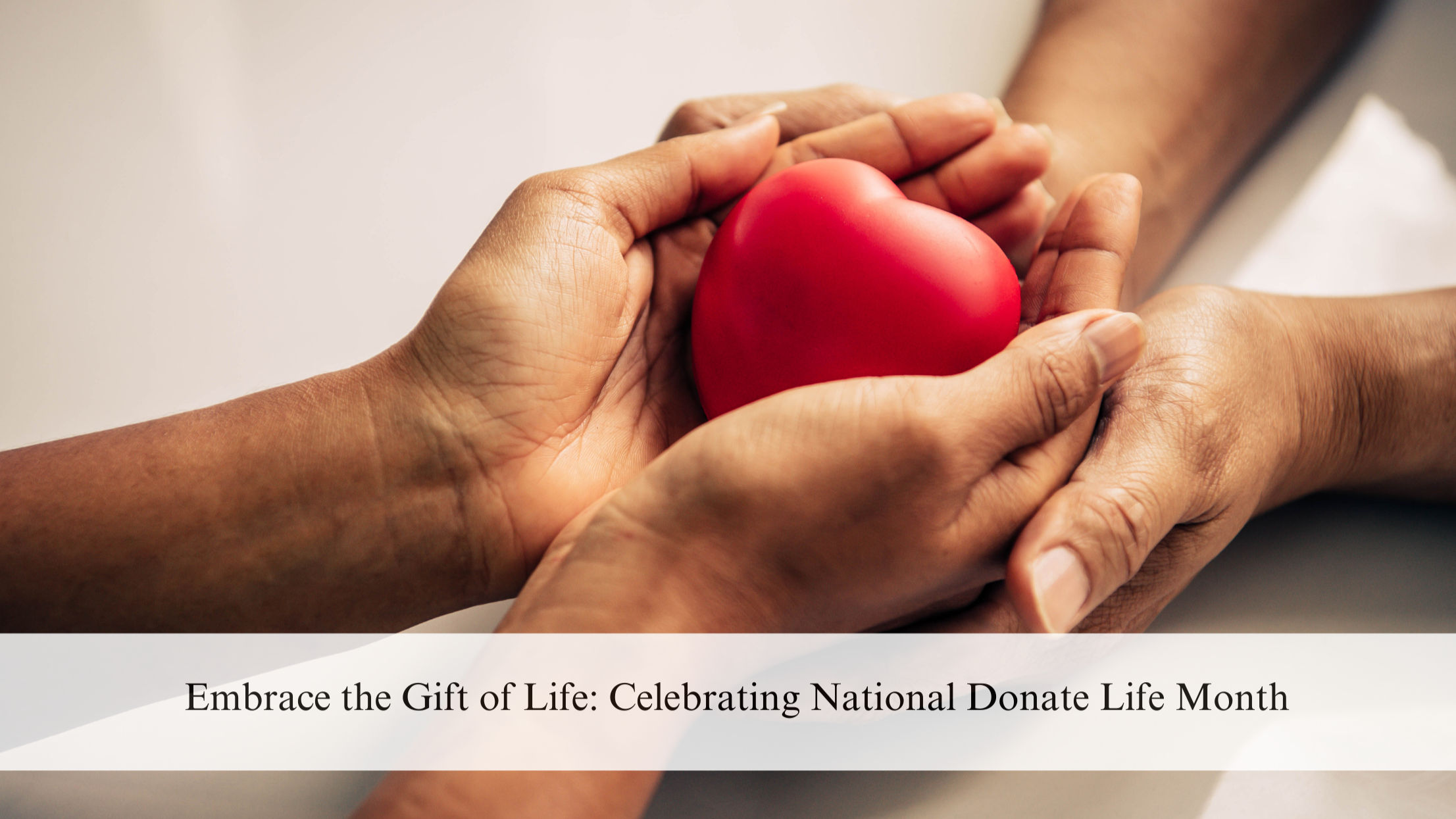 Embrace the Gift of Life — Stillwater Hospice