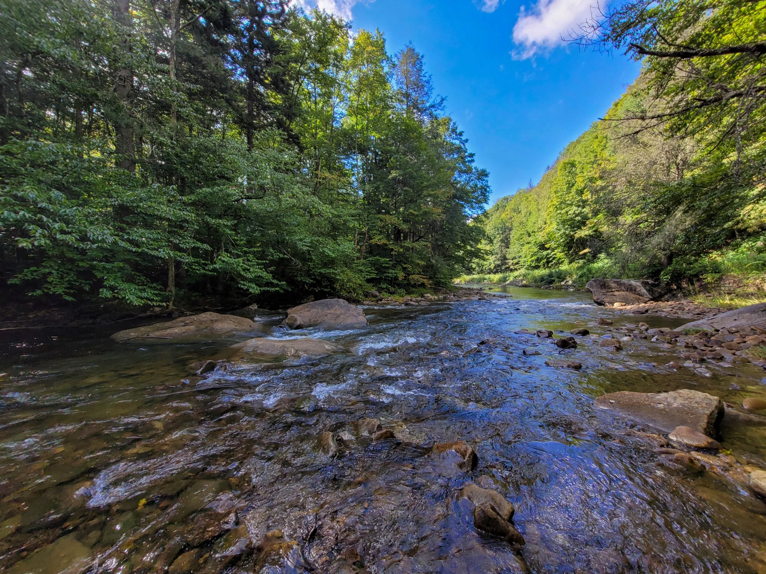 Blog 1 — CRANBERRY BASECAMP