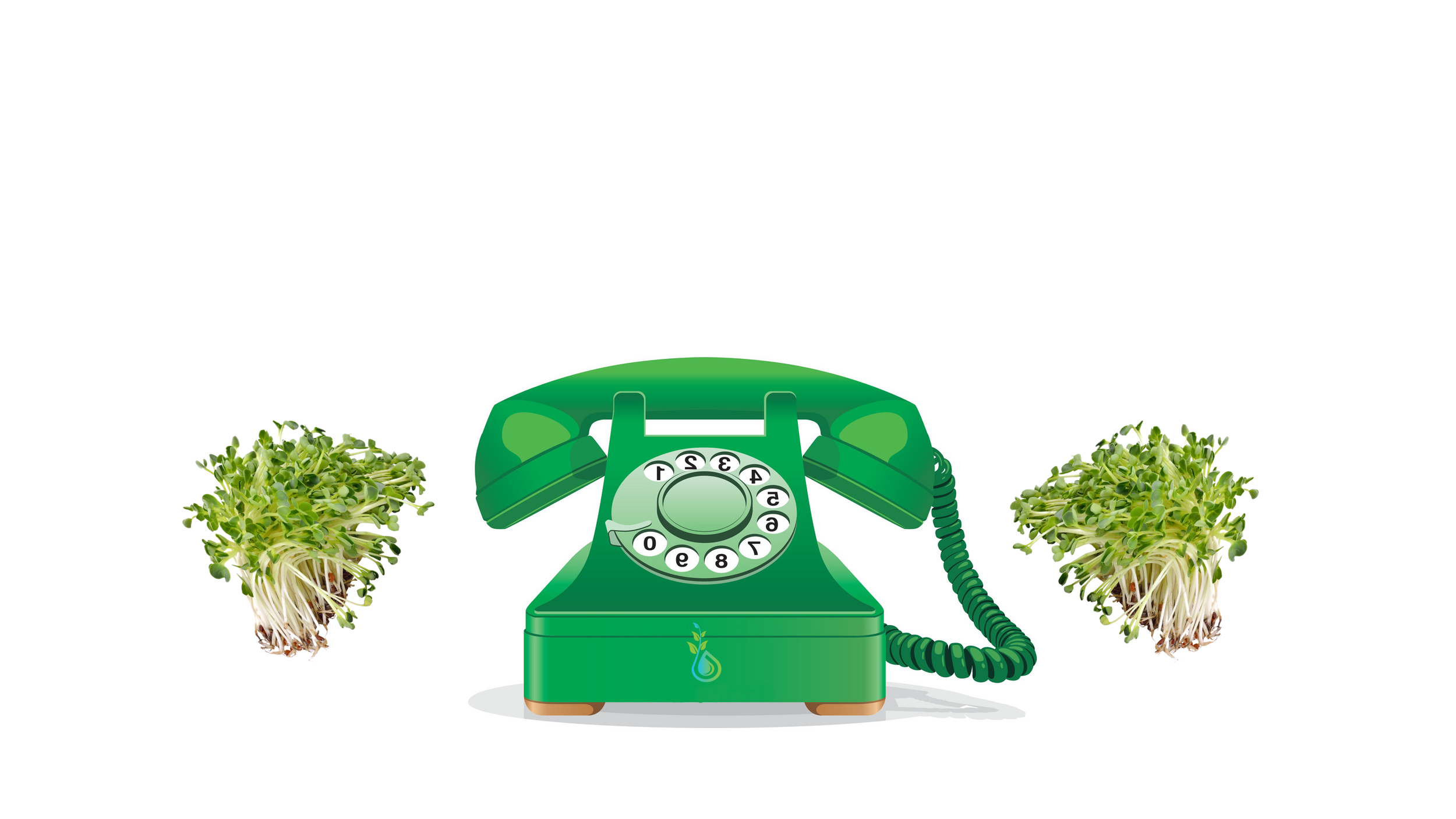 Contact Us — Han's Greens
