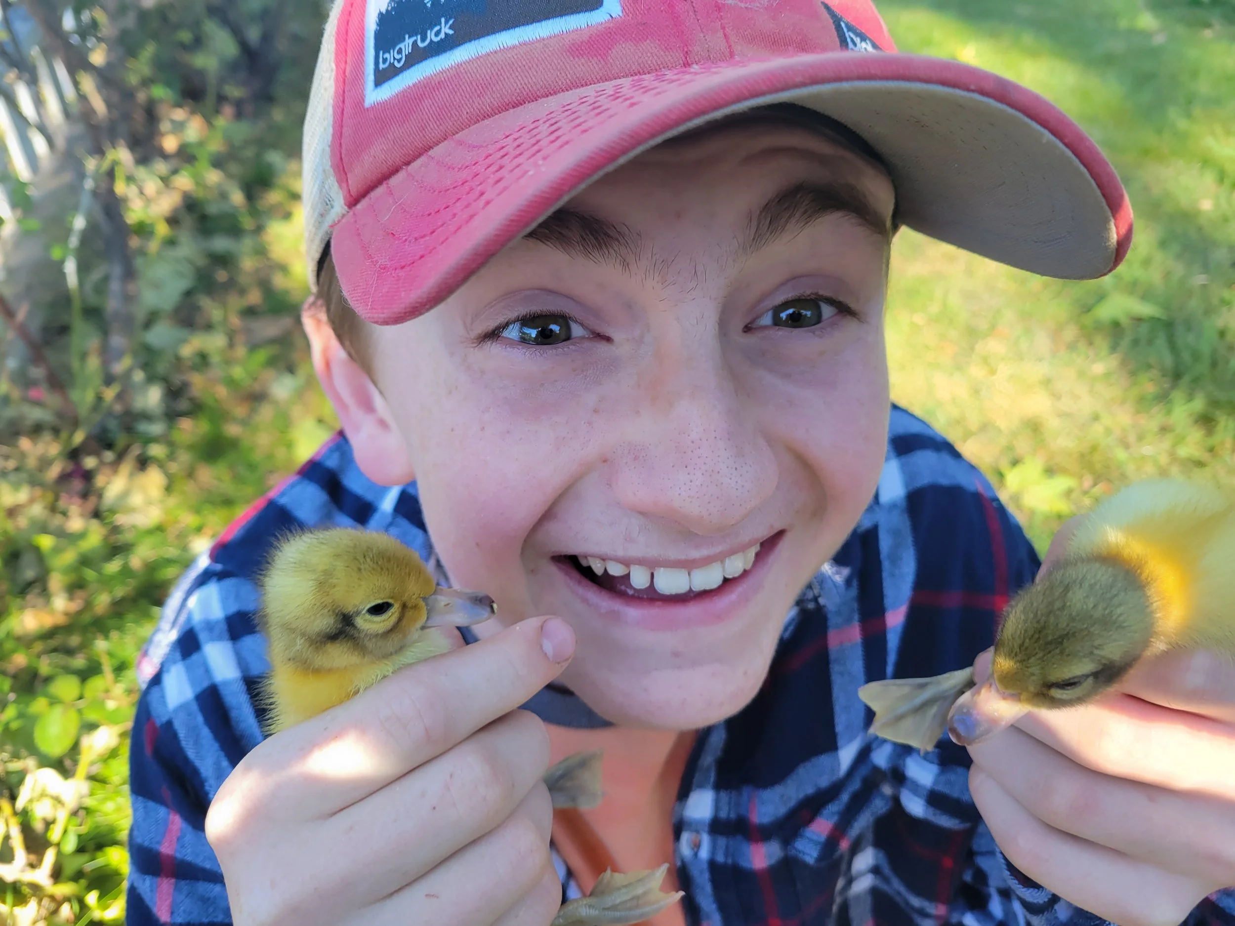 The People — Not By Luck Ranch