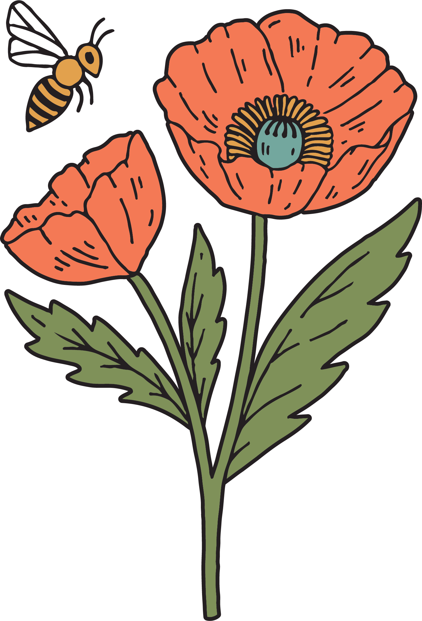 Brook and Blossom Farm