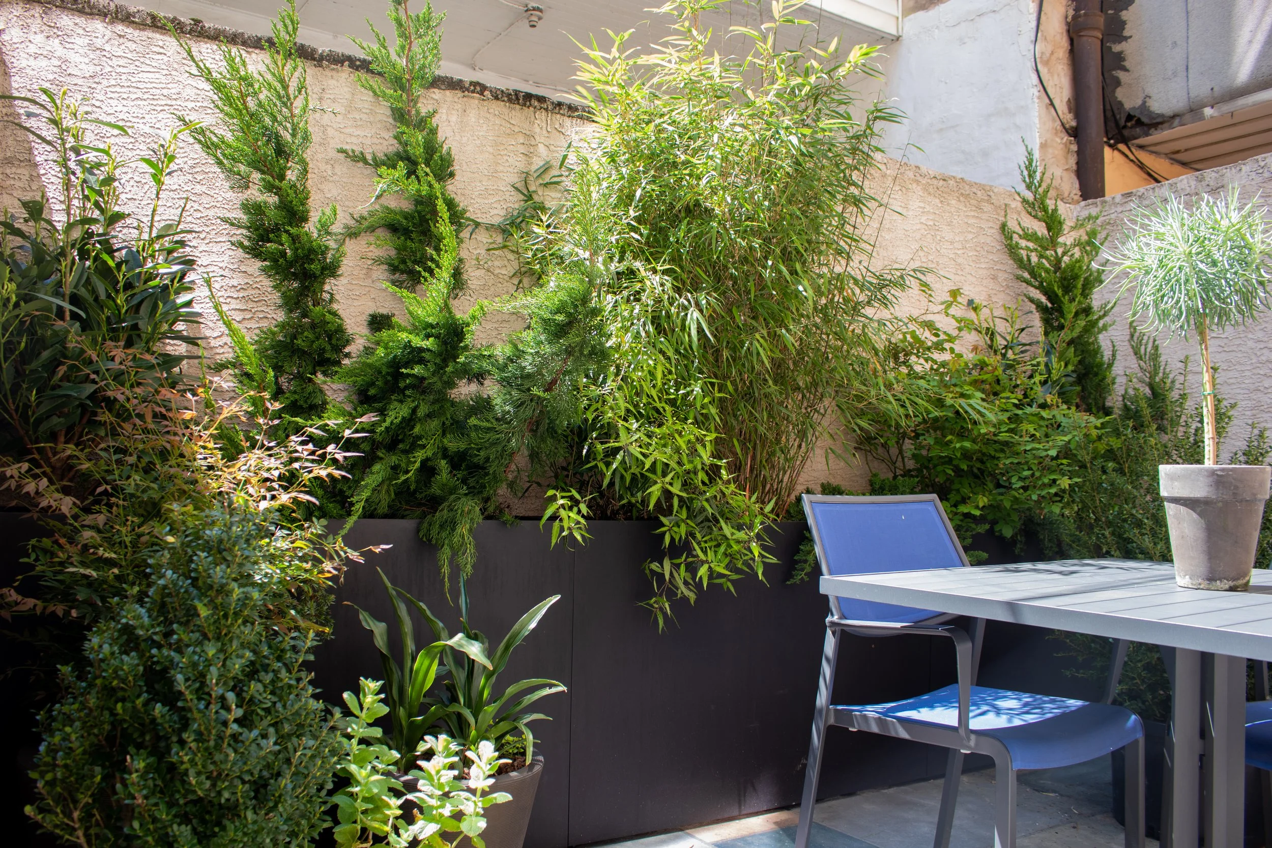 Urban Jungle Designs