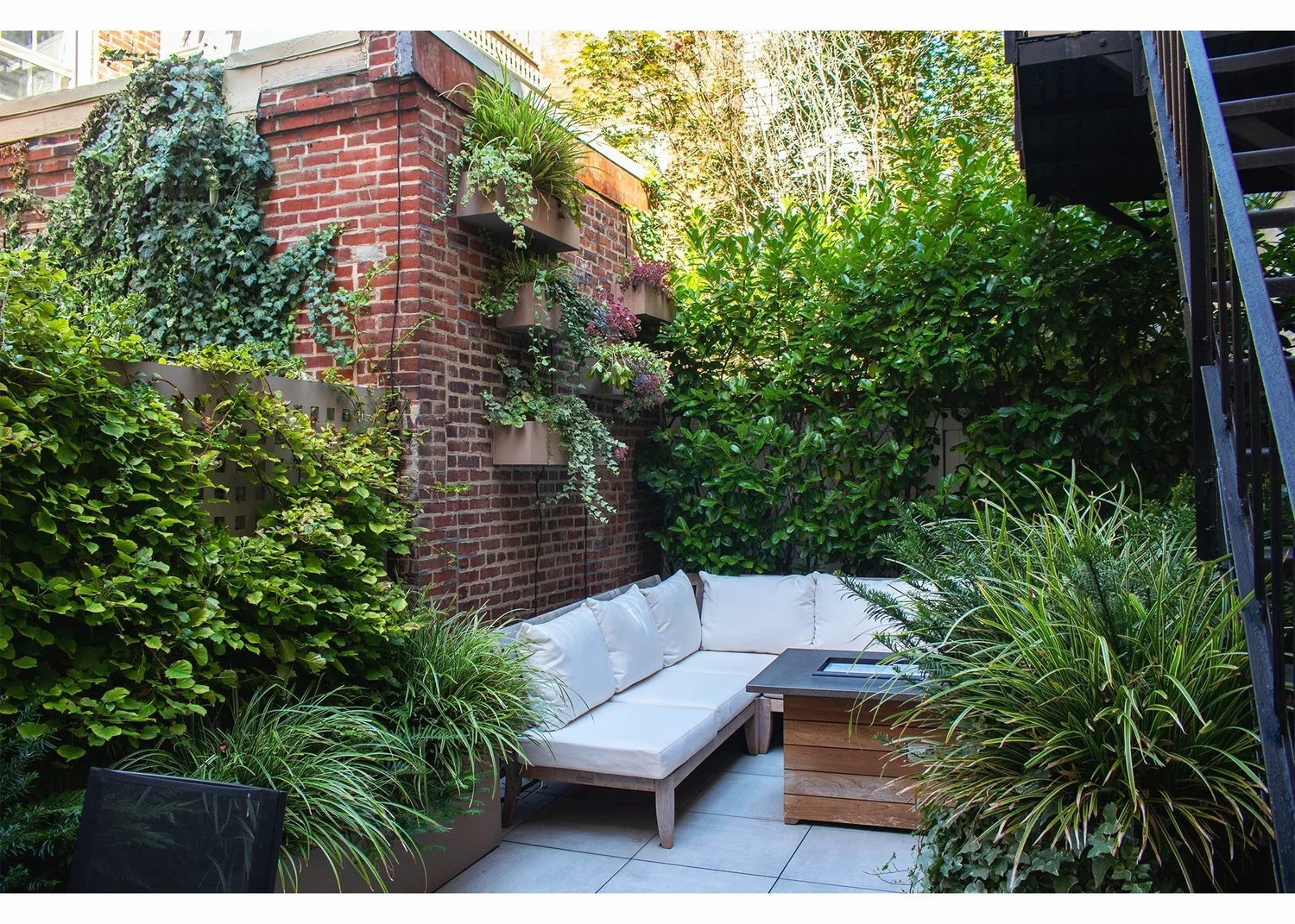 Urban Jungle Designs