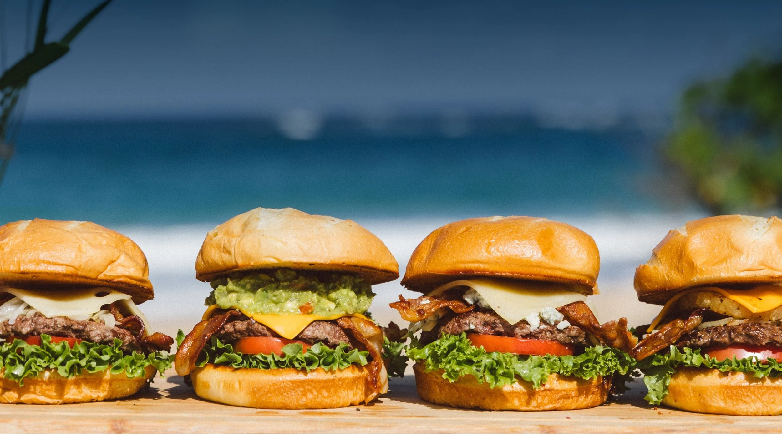 Catering Packages — Seven Brothers Burgers