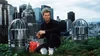 The Top 10 Greatest Rogues In Hollywood History — The Modern Rogue