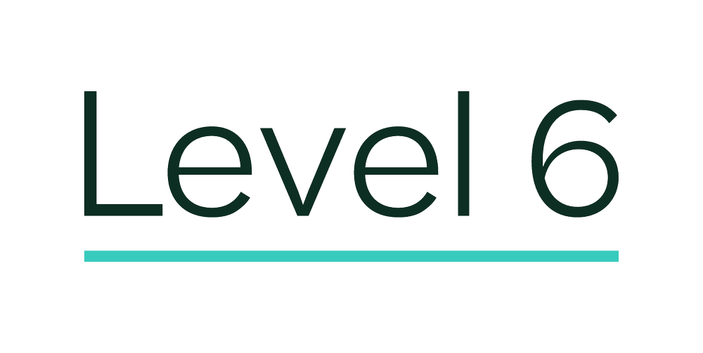 Experience — Level 6