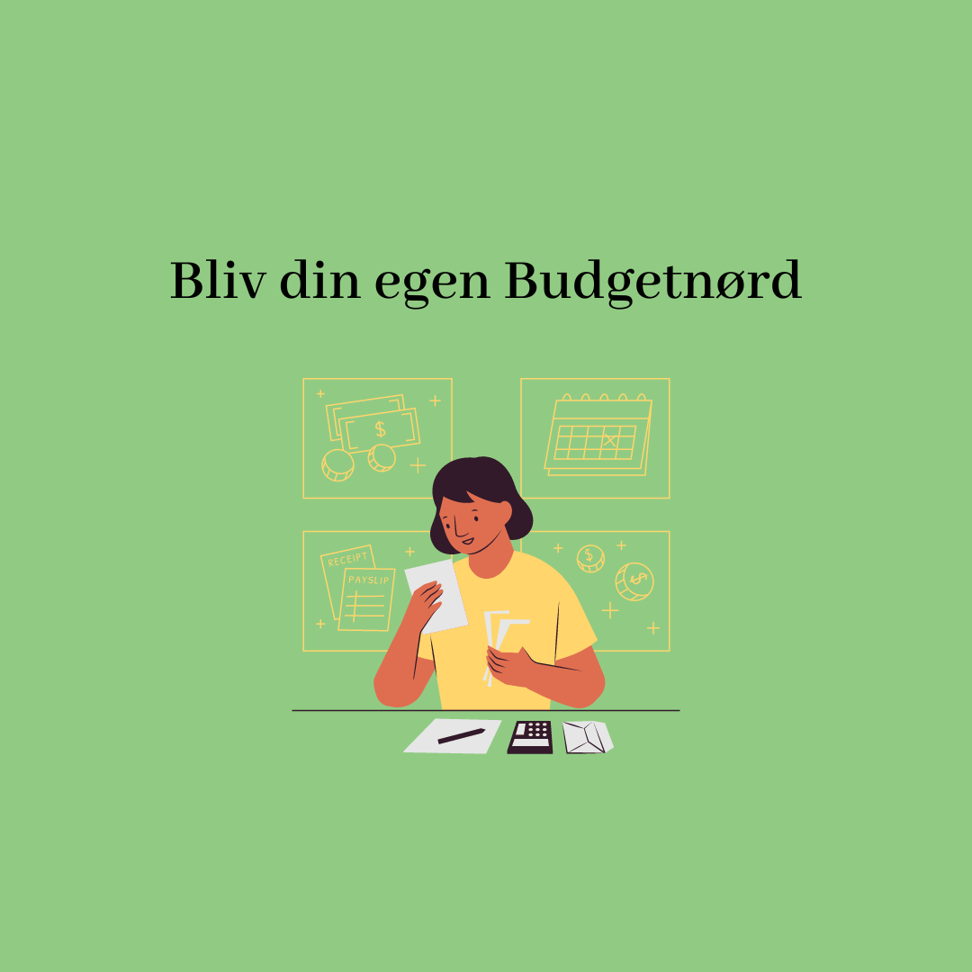 Økonomisk overskud med Budgetnørden