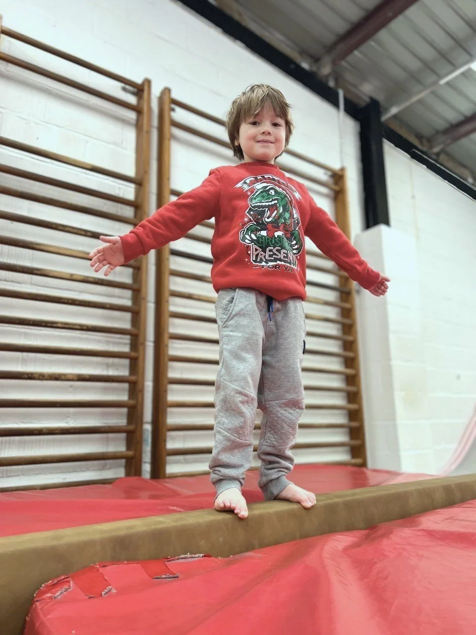 Tumbling Tigers — Capital Academy Gymnastics