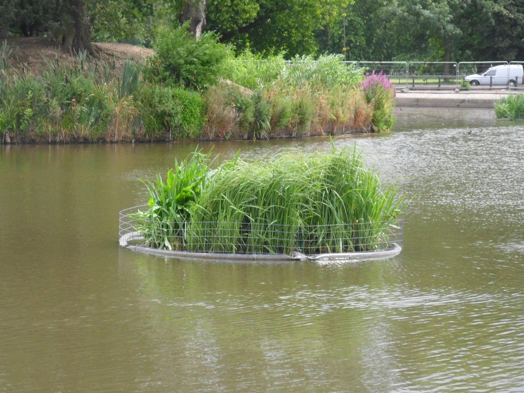 Floating Plant Islands