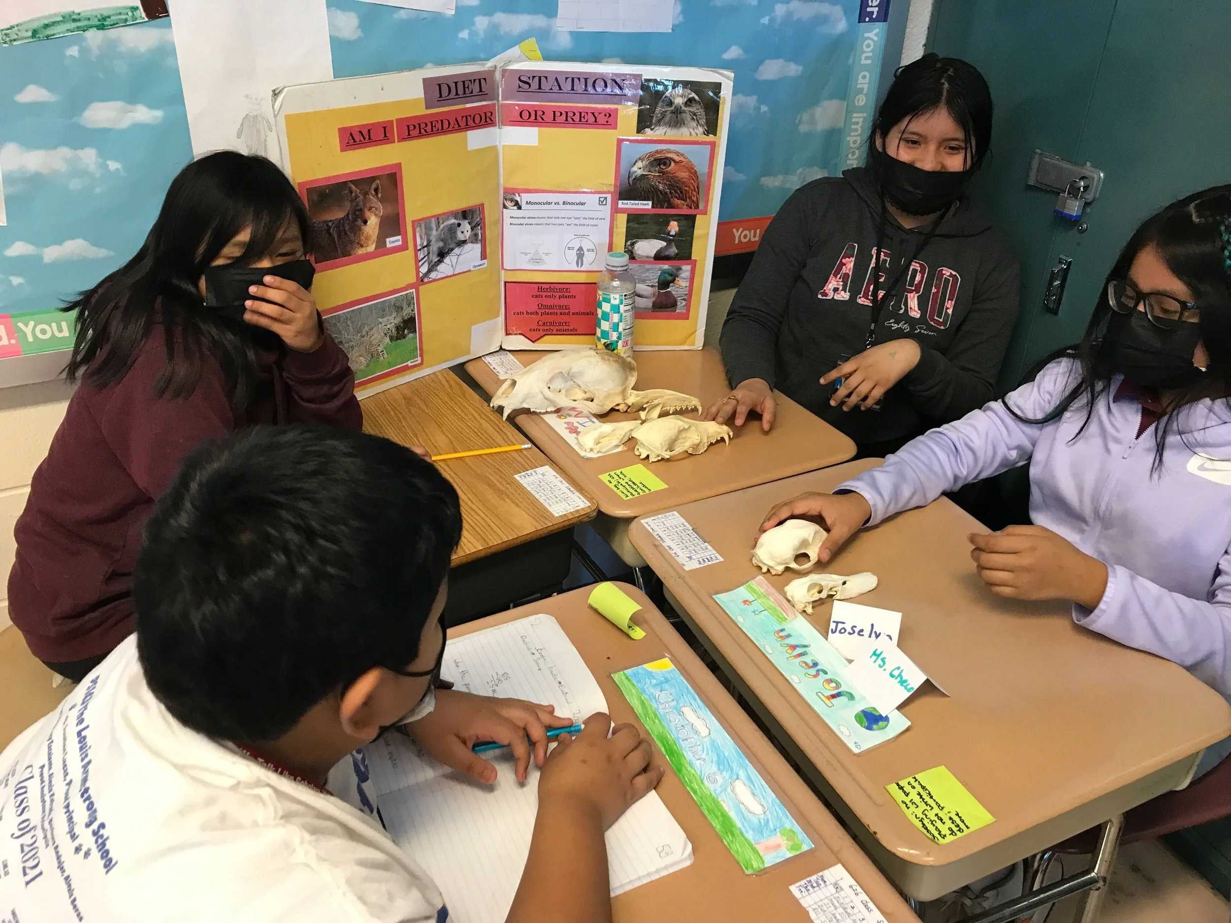 Winter Ecology Program — Christodora