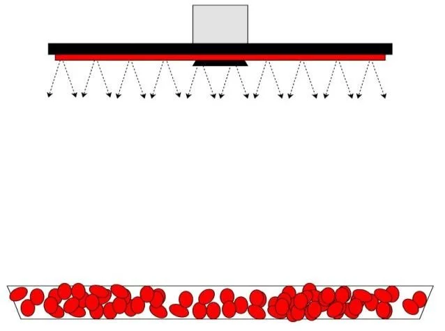 Innovative Fruit Sorting Using Machine Vision - Oculus Vision