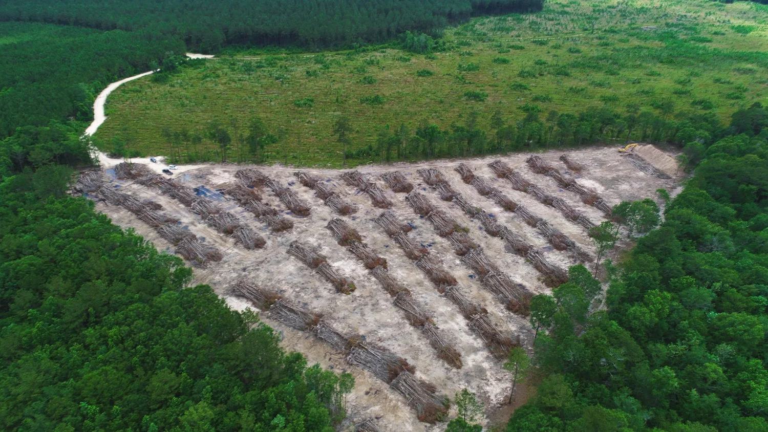 Innovative Carbon Sequestration Solutions | Terrestrial Storage & Biomass