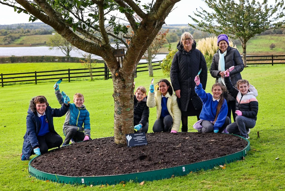 The Crocus Project — Holocaust Education Ireland